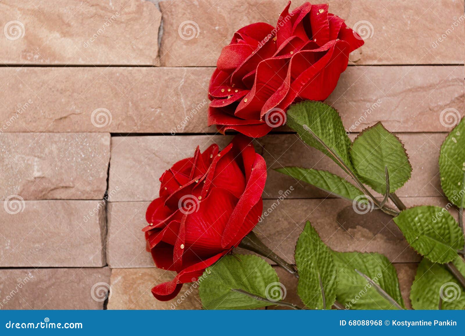 Single Red Rose Against a Textured Background Stock Photo - Image of ...