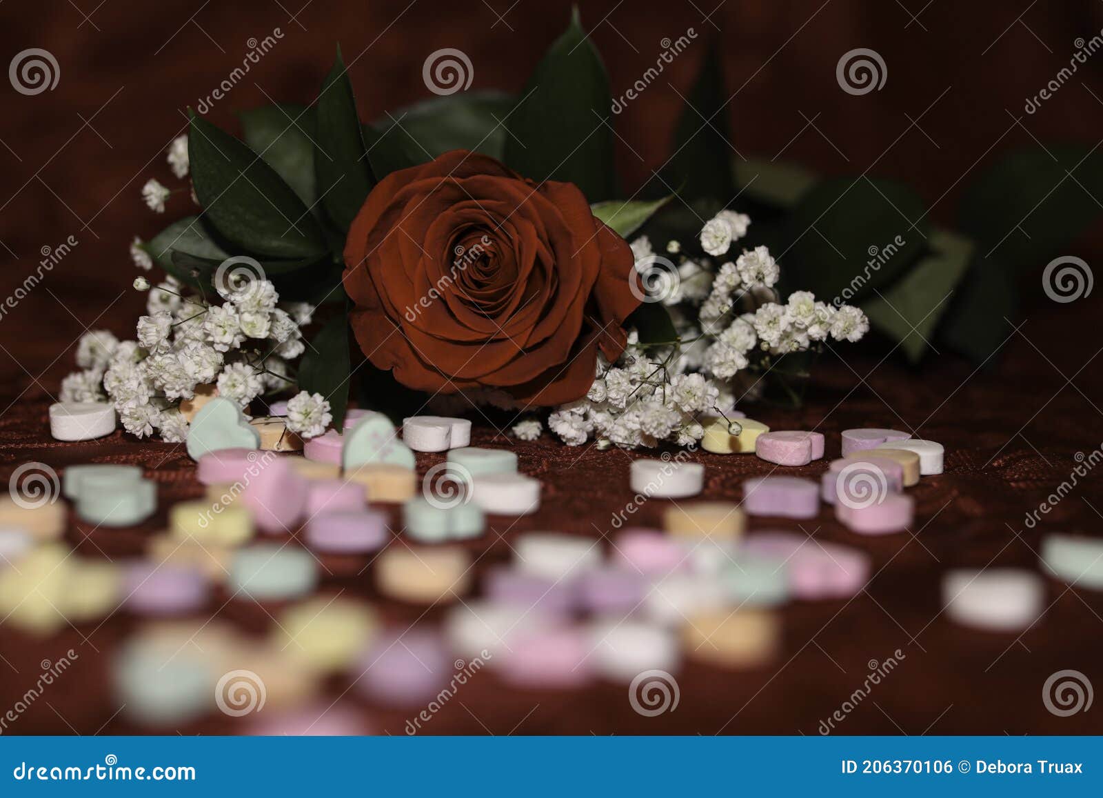 Red rose and candy hearts stock photo. Image of valentine - 206370106