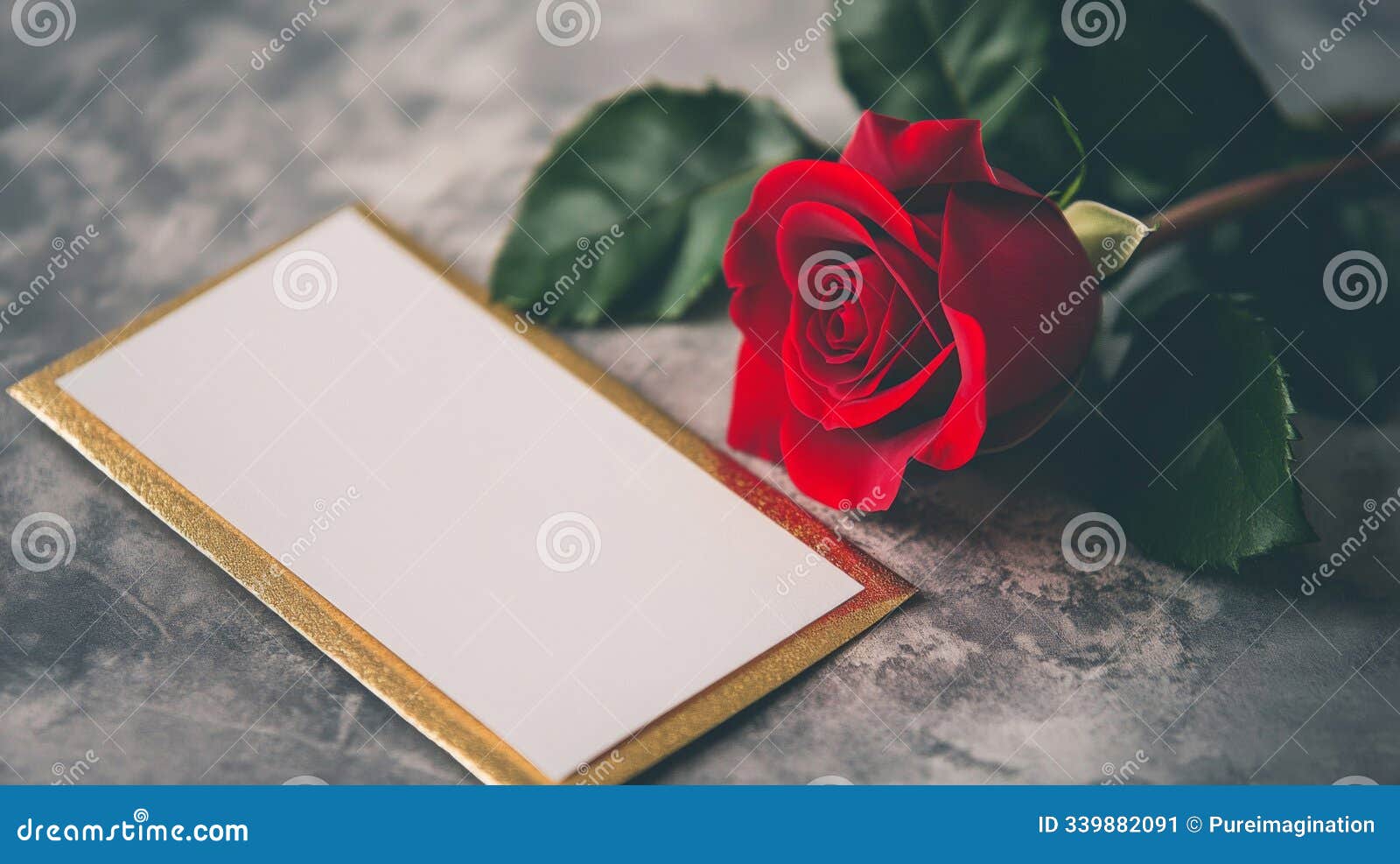 A Single Red Rose with Gold Trimmed Card on a Grey Surface Stock ...