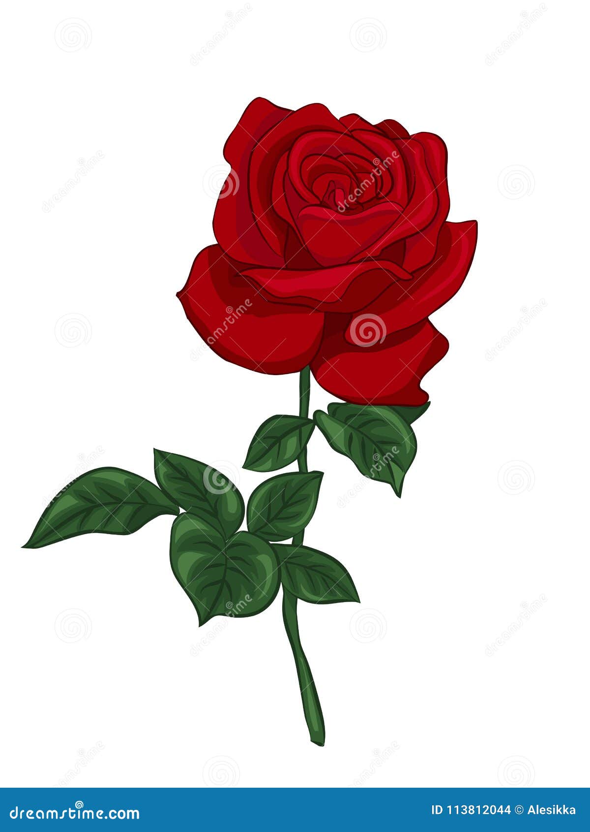 Single red rose stock vector. Illustration of leaf, aflat - 113812044