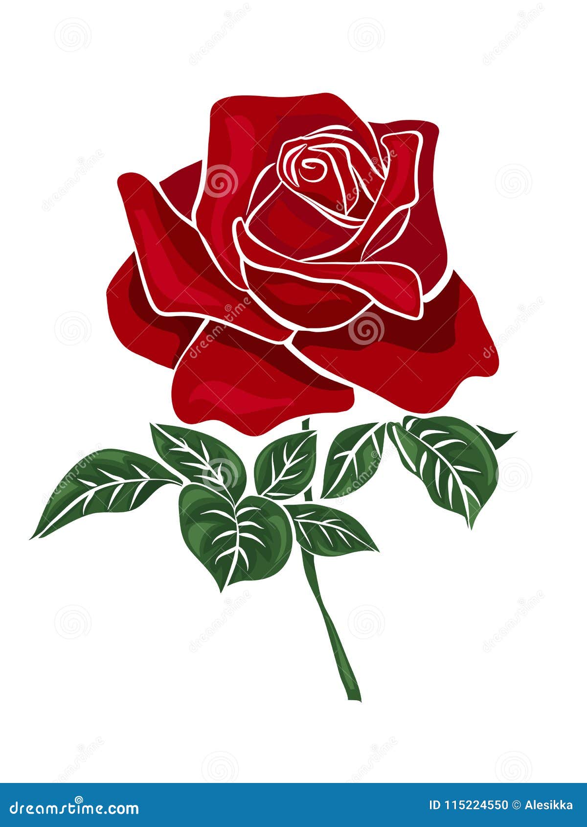 Single red rose stock vector. Illustration of blossom - 115224550