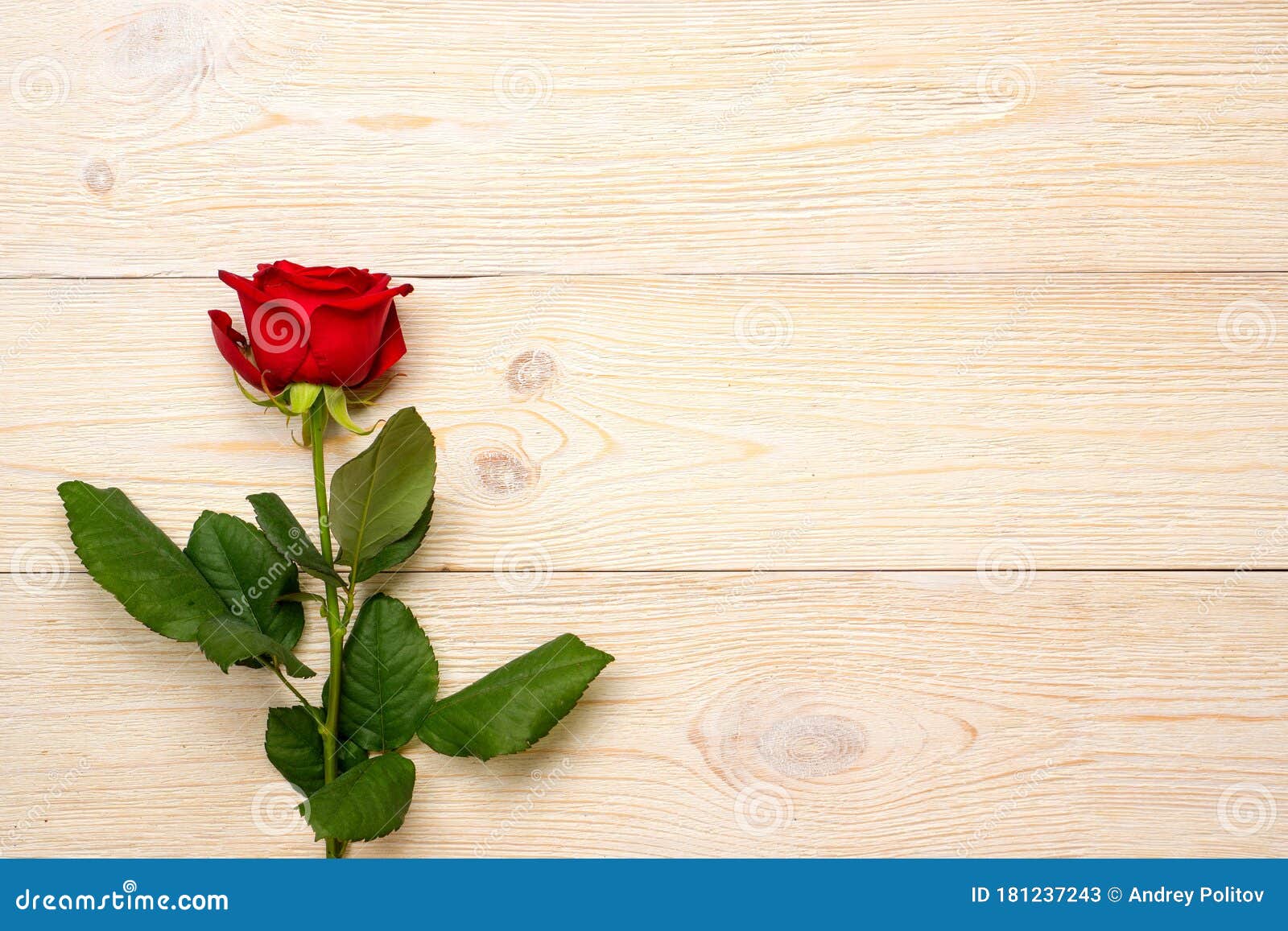 Single Red Rose Over Rustic Wood Planks Stock Image - Image of holiday ...