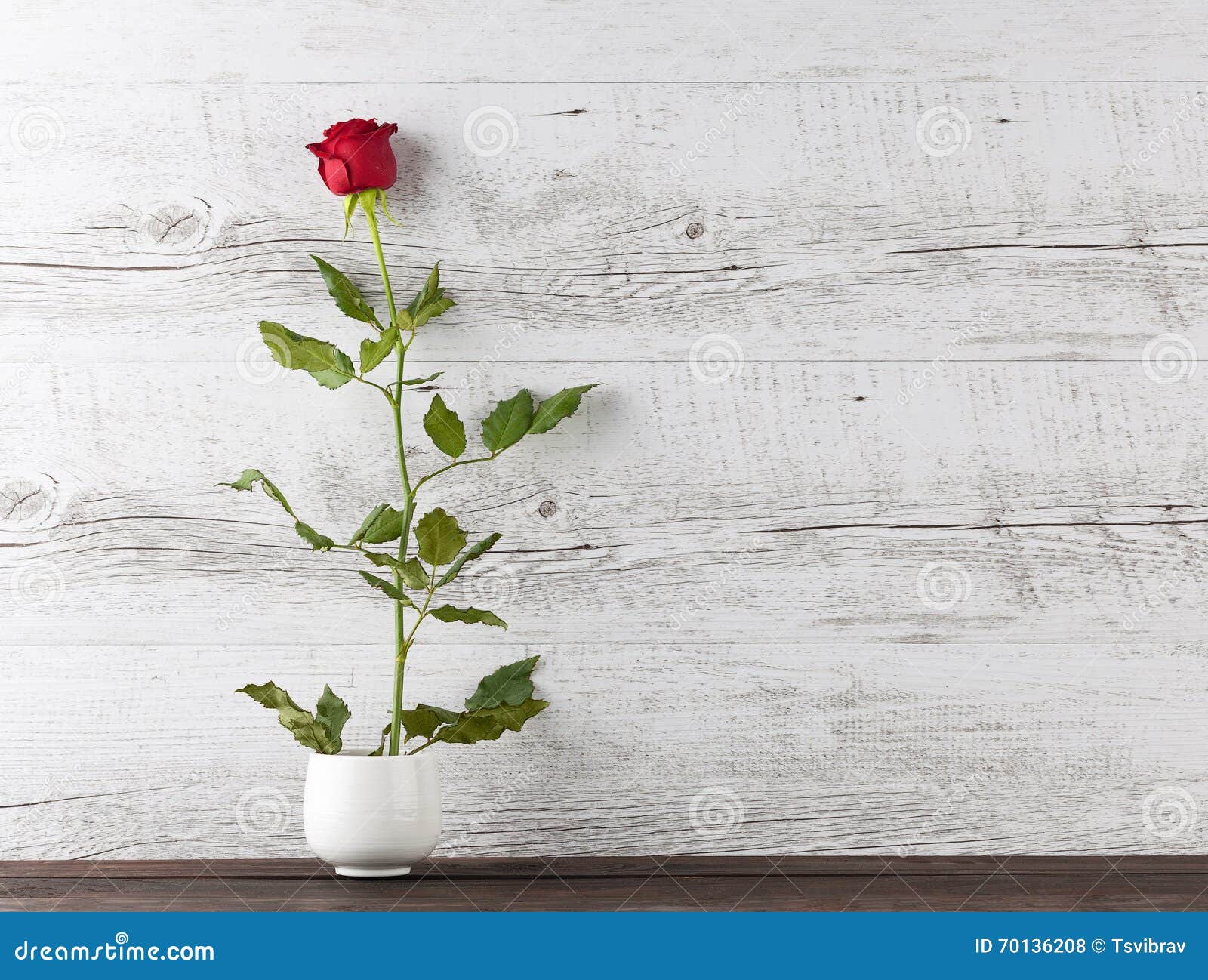 Single Red Rose in Tiny Ceramic Vase Stock Photo - Image of floral ...