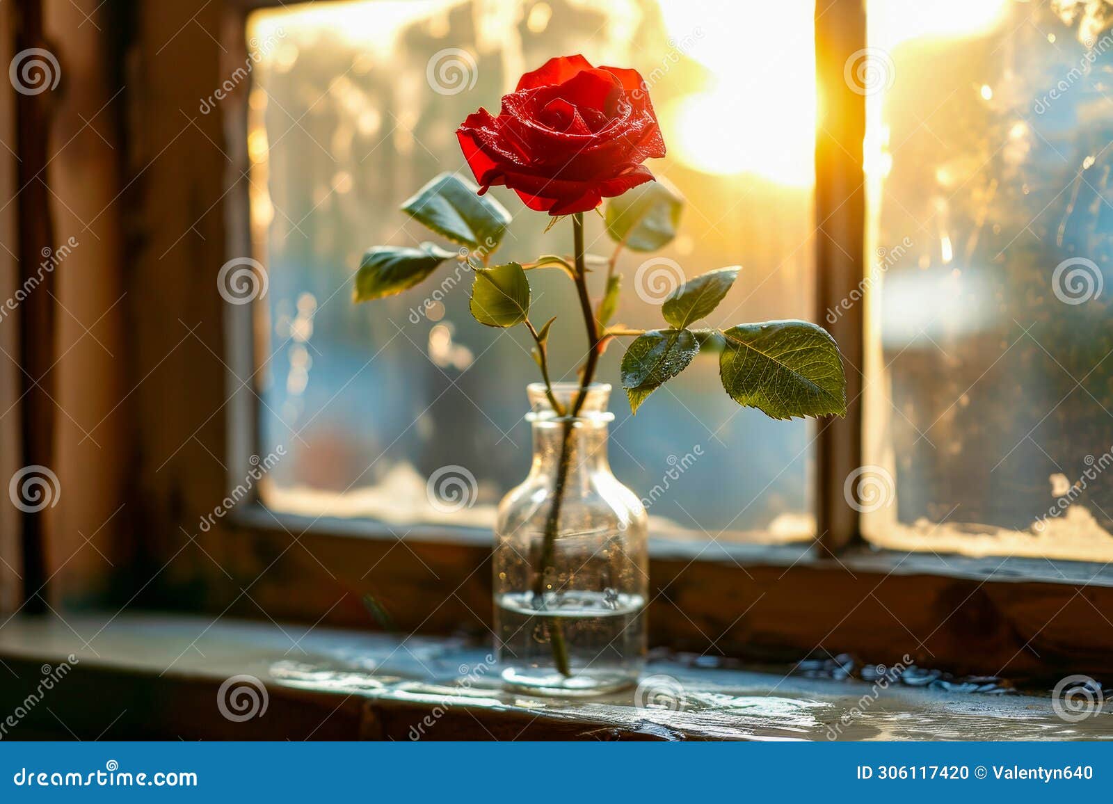 Single Red Rose in Vase is Placed on Windowsill at Sunset. Generative ...