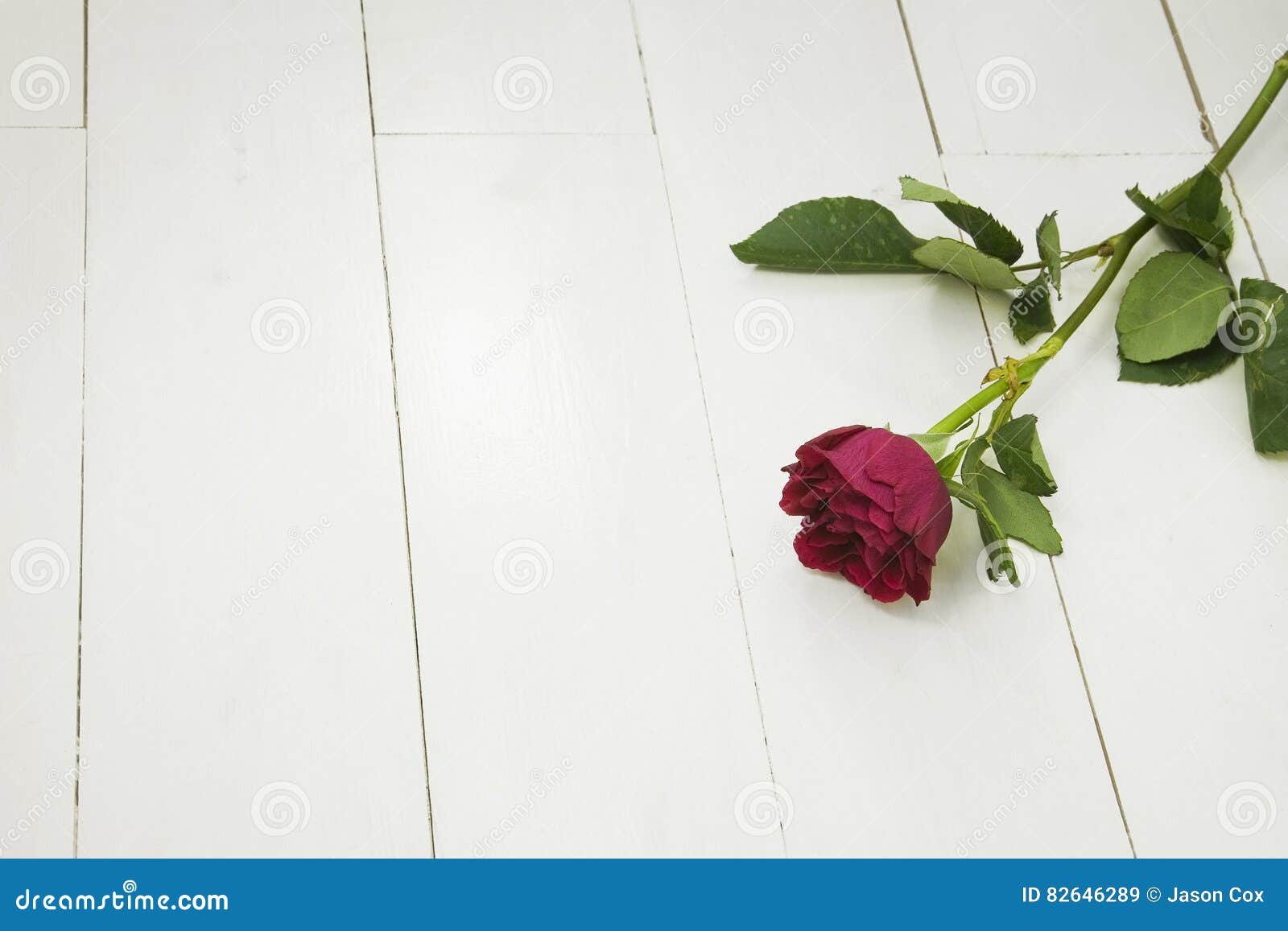 Single Red Rose on White Floorboards Stock Image - Image of color ...