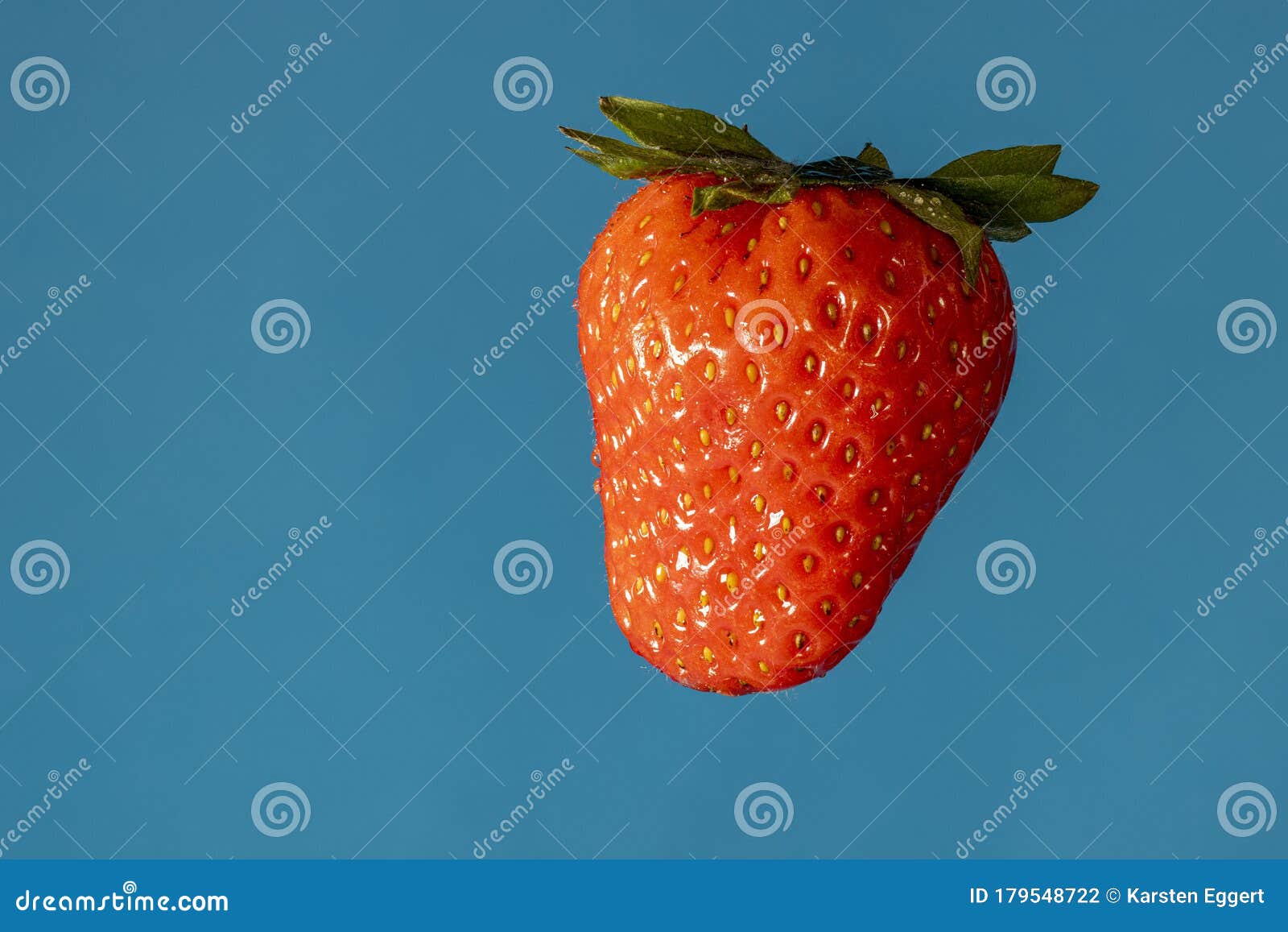 Single Red Strawberry Against a Blue Background Stock Photo - Image of ...
