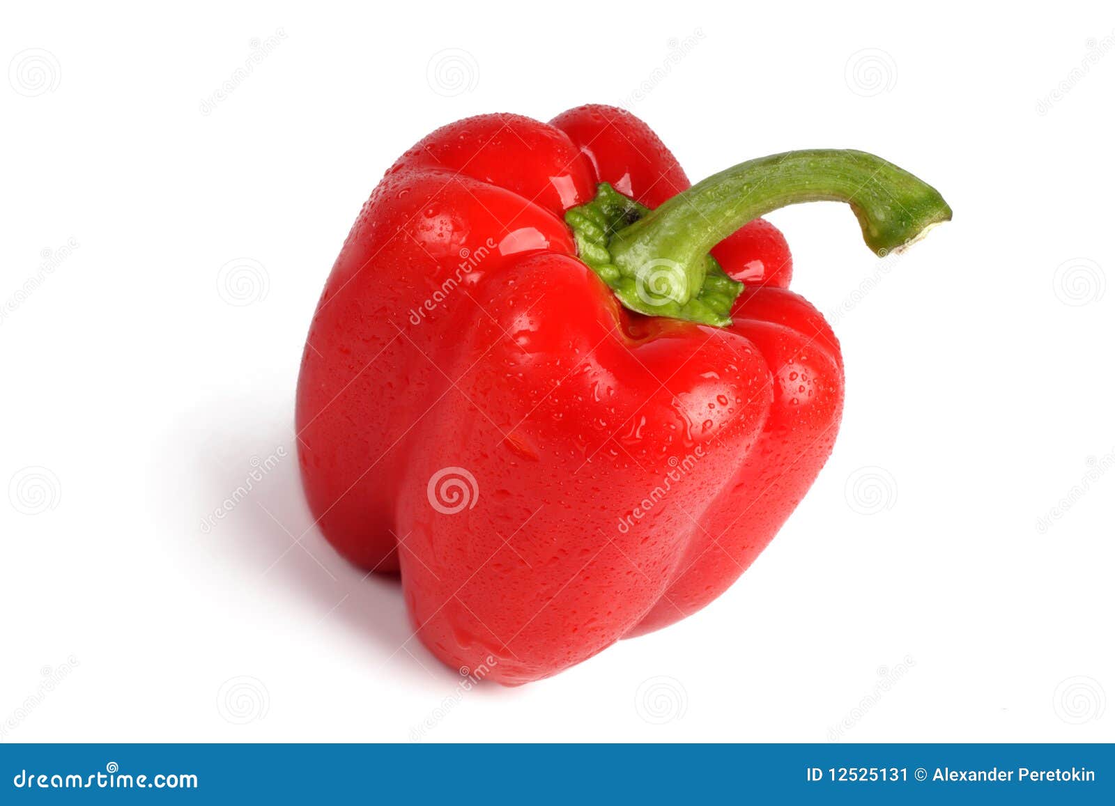 Single red sweet pepper. stock image. Image of drop, healthy - 12525131