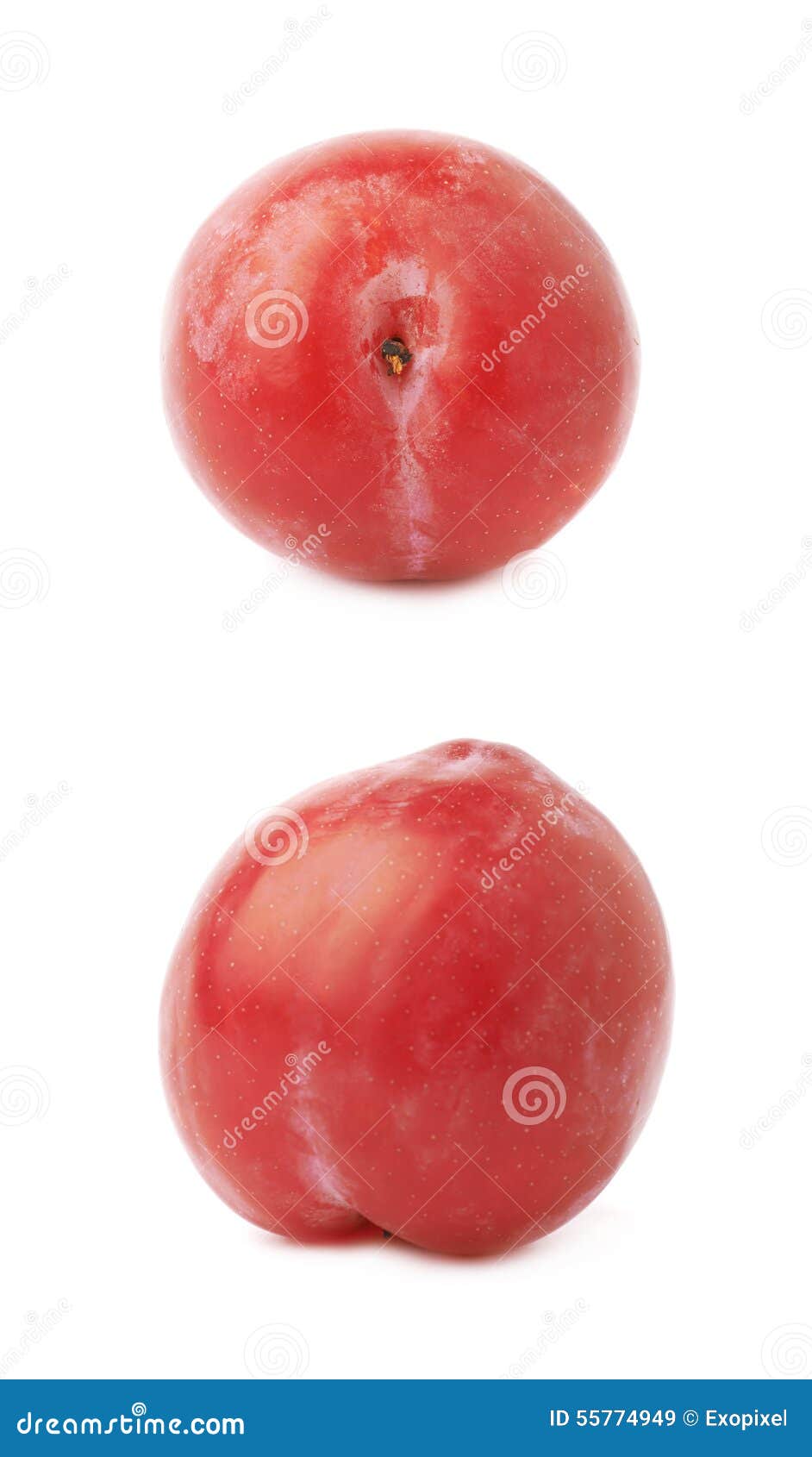 Single Red Victoria Plum Isolated Stock Image - Image of object, snack ...
