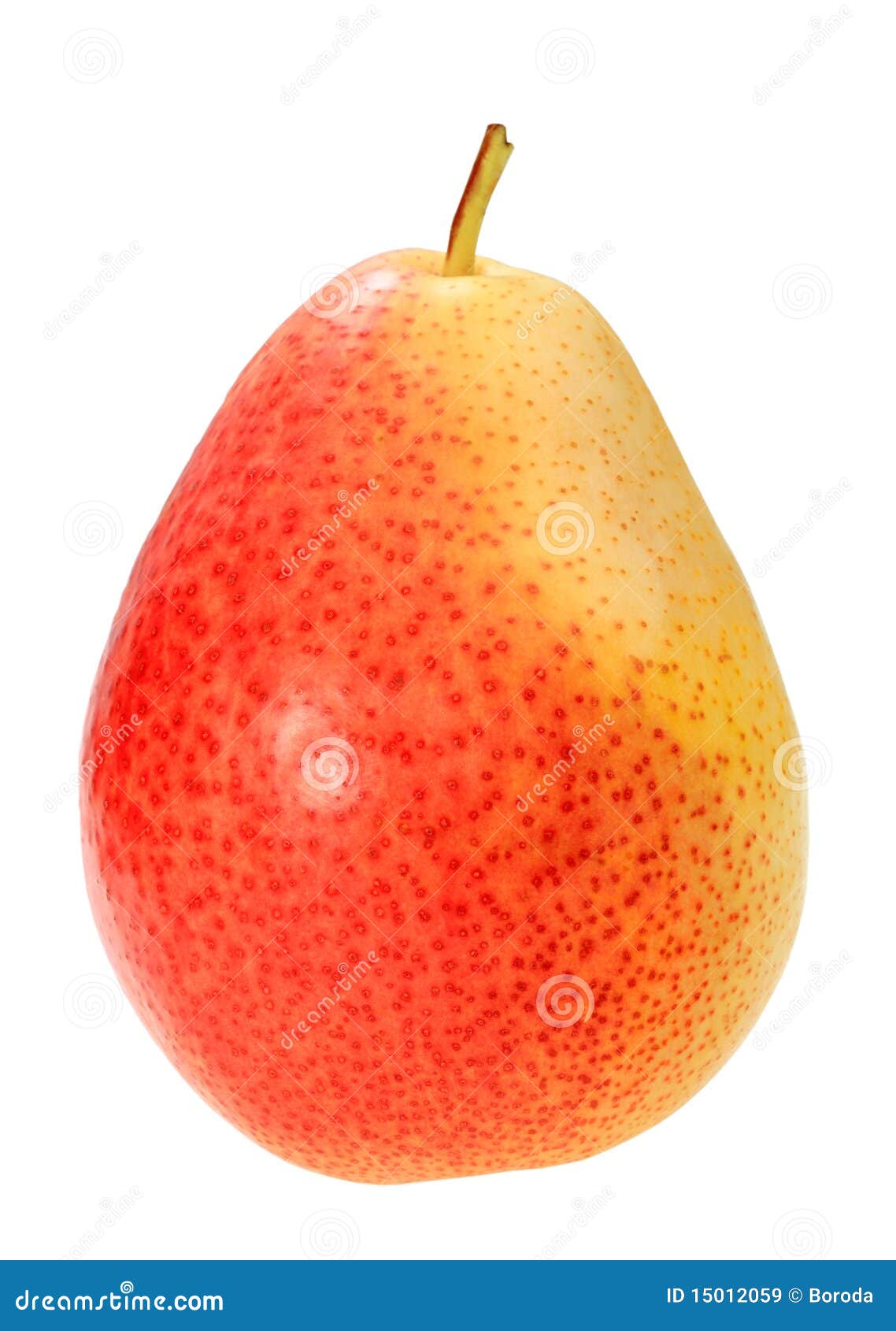 Single a red-yellow pear stock image. Image of pyreae - 15012059