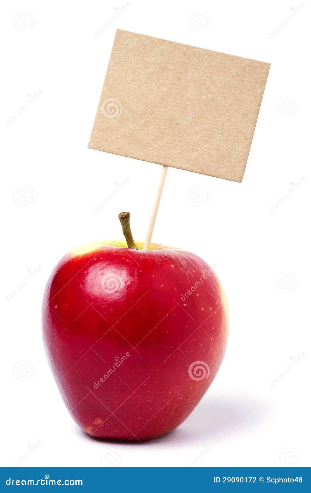 Single ripe apple on white stock photo. Image of juicy - 29090172