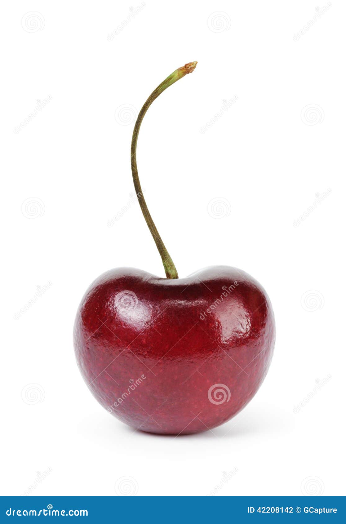 Single ripe cherry berry stock photo. Image of healthy - 42208142