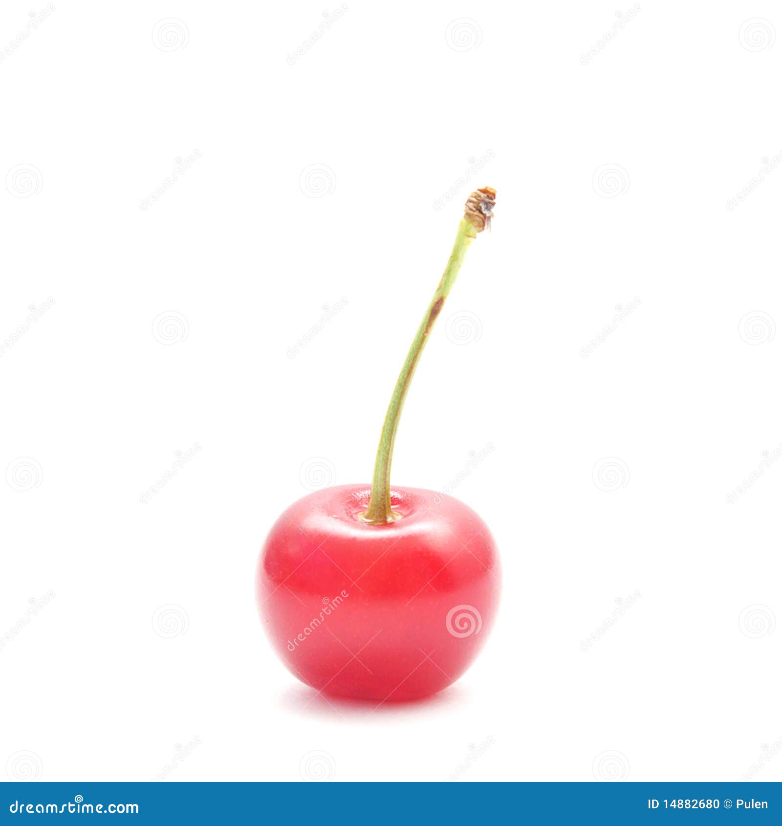 A Single Ripe Cherry Isolated on White Stock Photo - Image of close ...