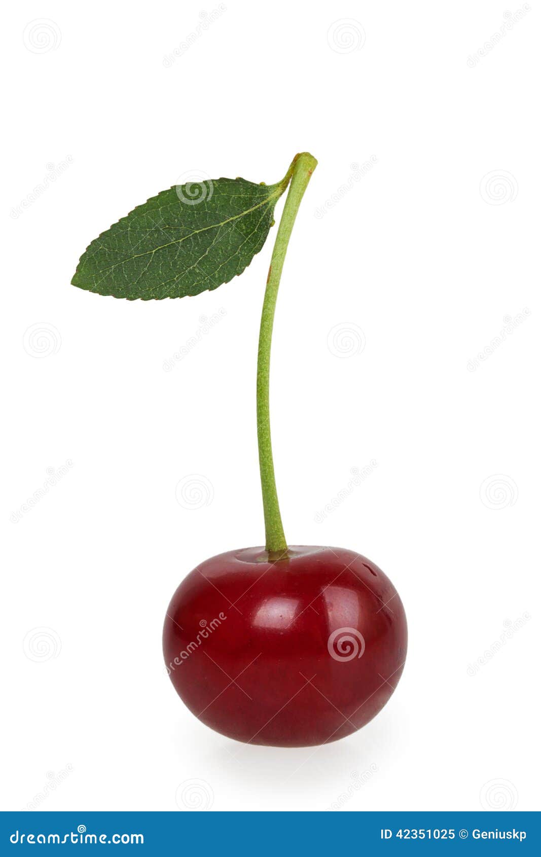 Single ripe cherry stock image. Image of background, ripe - 42351025