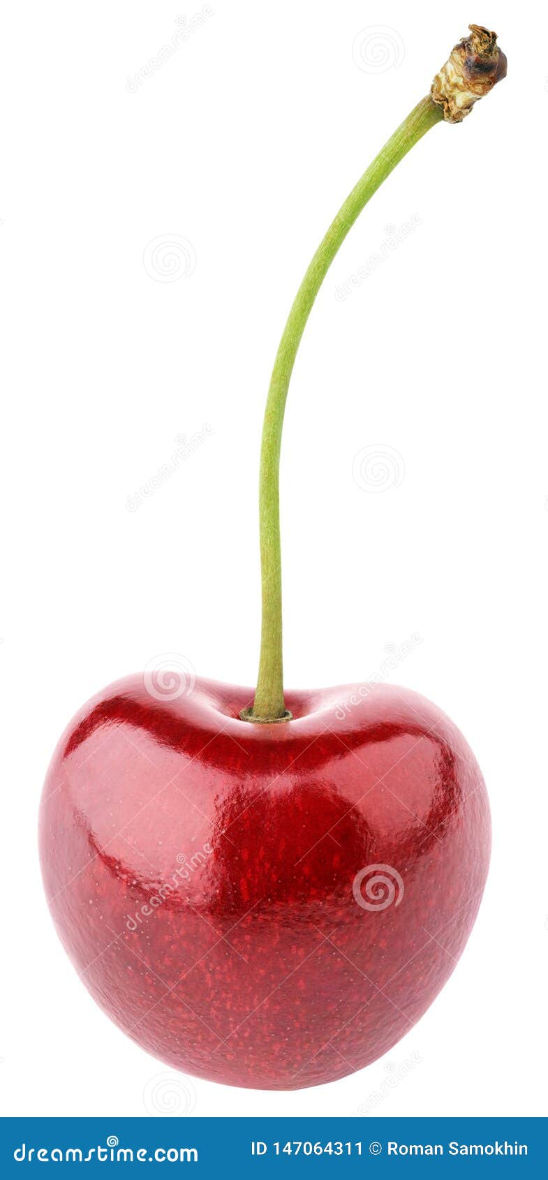 Single Ripe Cherry Isolated on White Stock Image - Image of nutrition ...