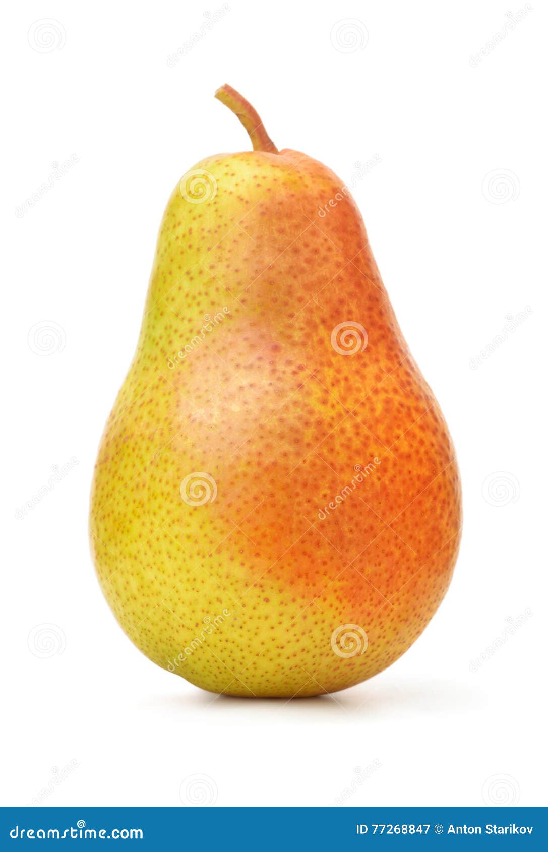 Single ripe fresh pear stock image. Image of single, full - 77268847