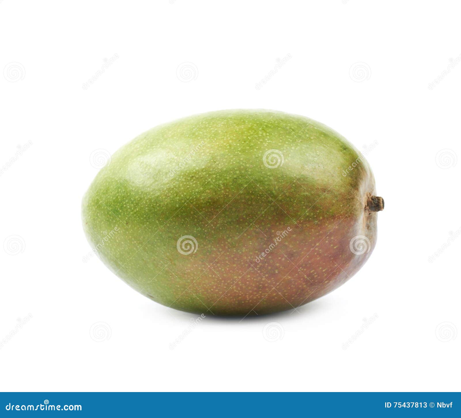 Single Ripe Mango Fruit Isolated Stock Image - Image of section, exotic ... Single Ripe Mango Fruit Isolated Stock Image - Image of section, exotic ...