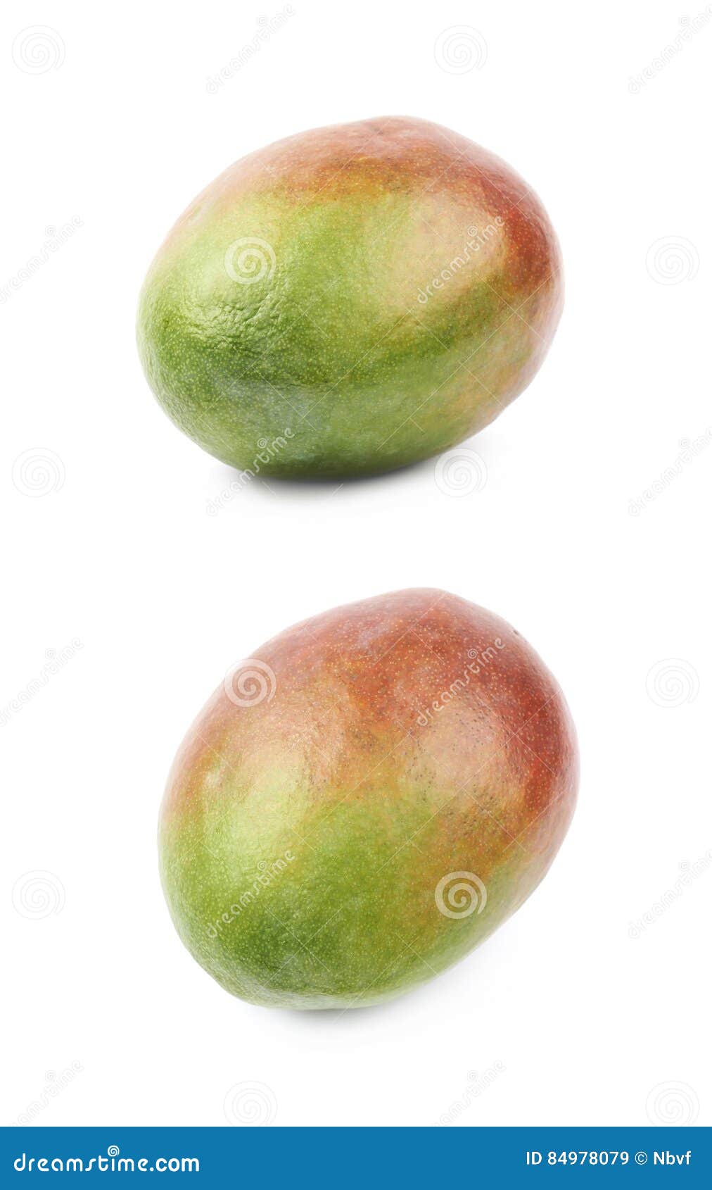 Single Ripe Mango Fruit Isolated Stock Image - Image of organic, object ...