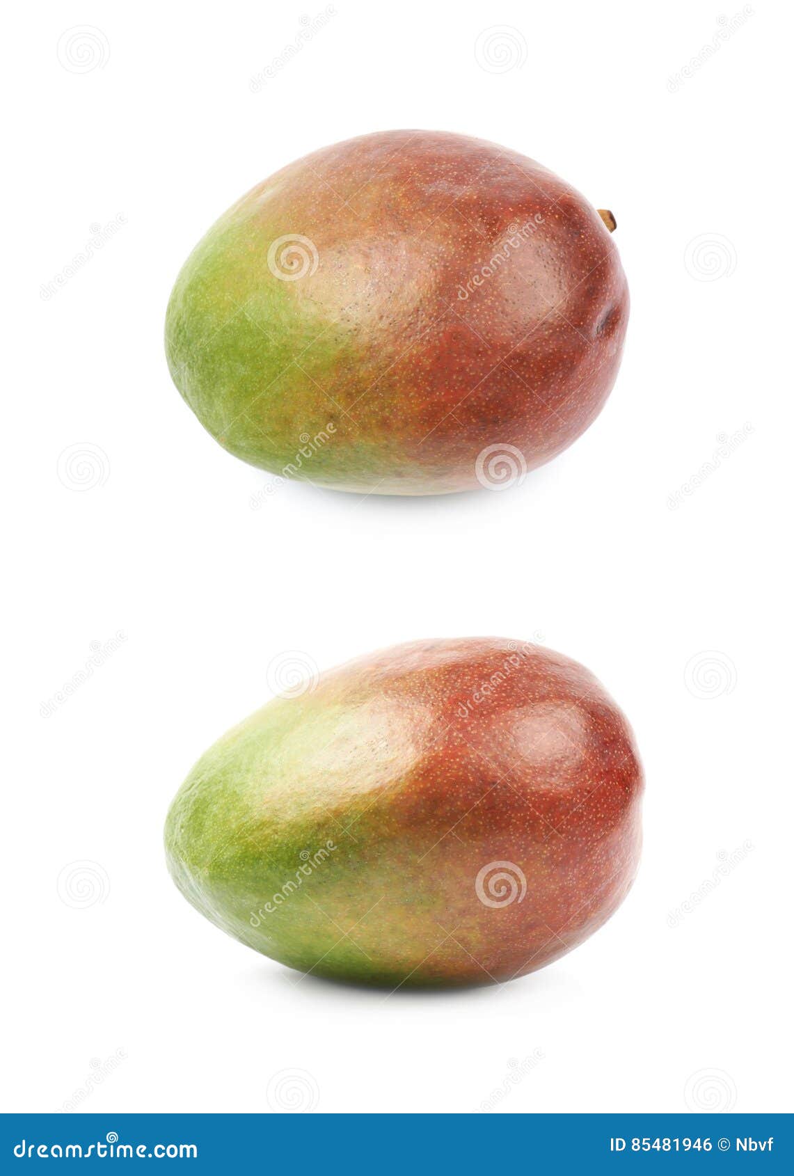 Single Ripe Mango Fruit Isolated Stock Photo - Image of mango, dessert ...