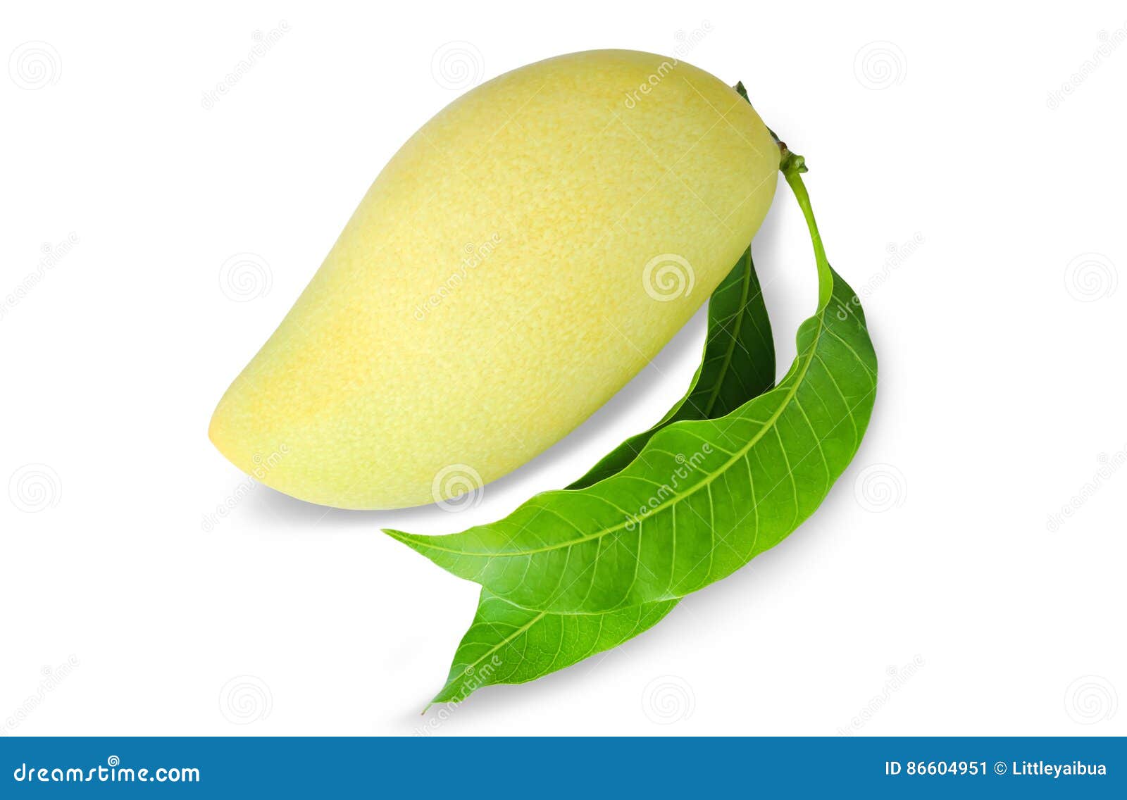 Single Ripe Mango Isolated on White Background. Stock Image - Image of ...