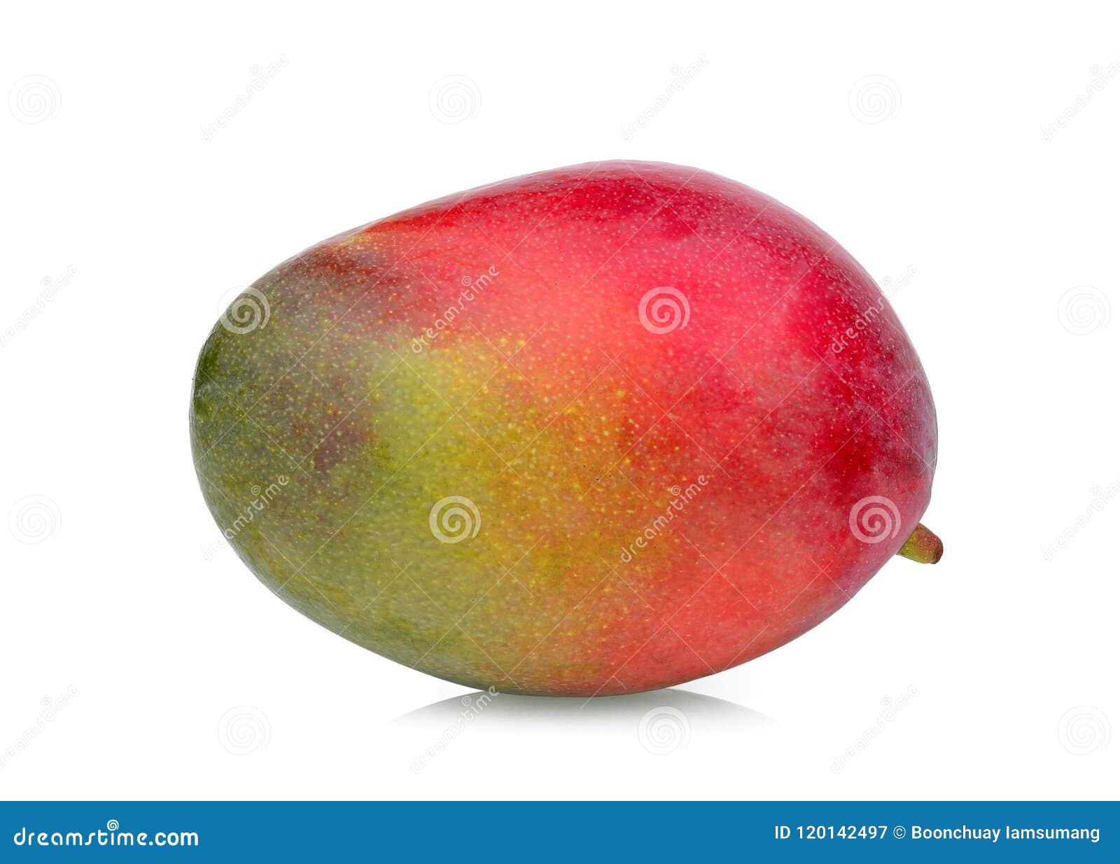 Single Ripe Mango Isolated on White Stock Image - Image of sour, food ...