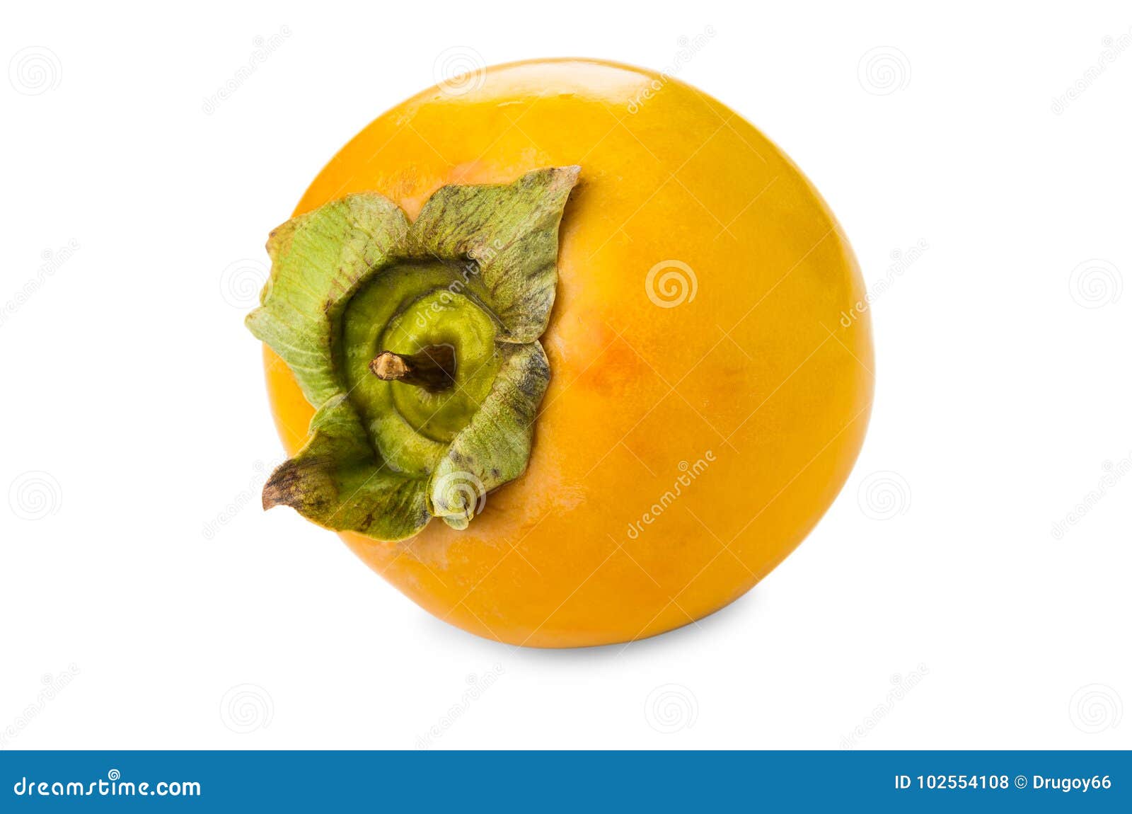 Single Ripe Persimmon Isolated on White Stock Photo - Image of color ...