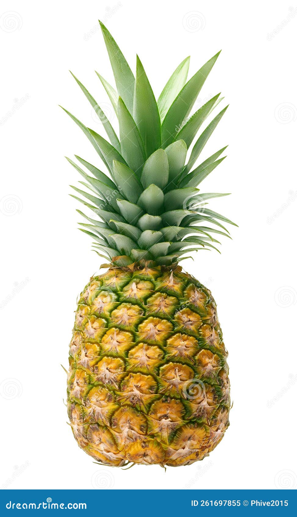 Single Ripe Pineapple Isolated Stock Image - Image of yellow, fresh ...