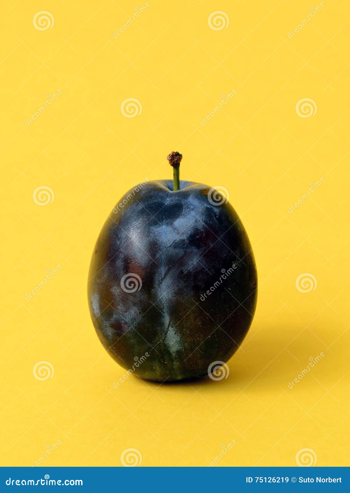 Single ripe plum stock image. Image of background, ripe - 75126219
