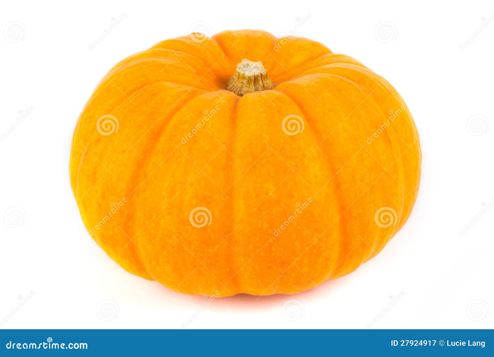 Single Ripe Pumpkin on White Stock Image - Image of vegetable, plant ...