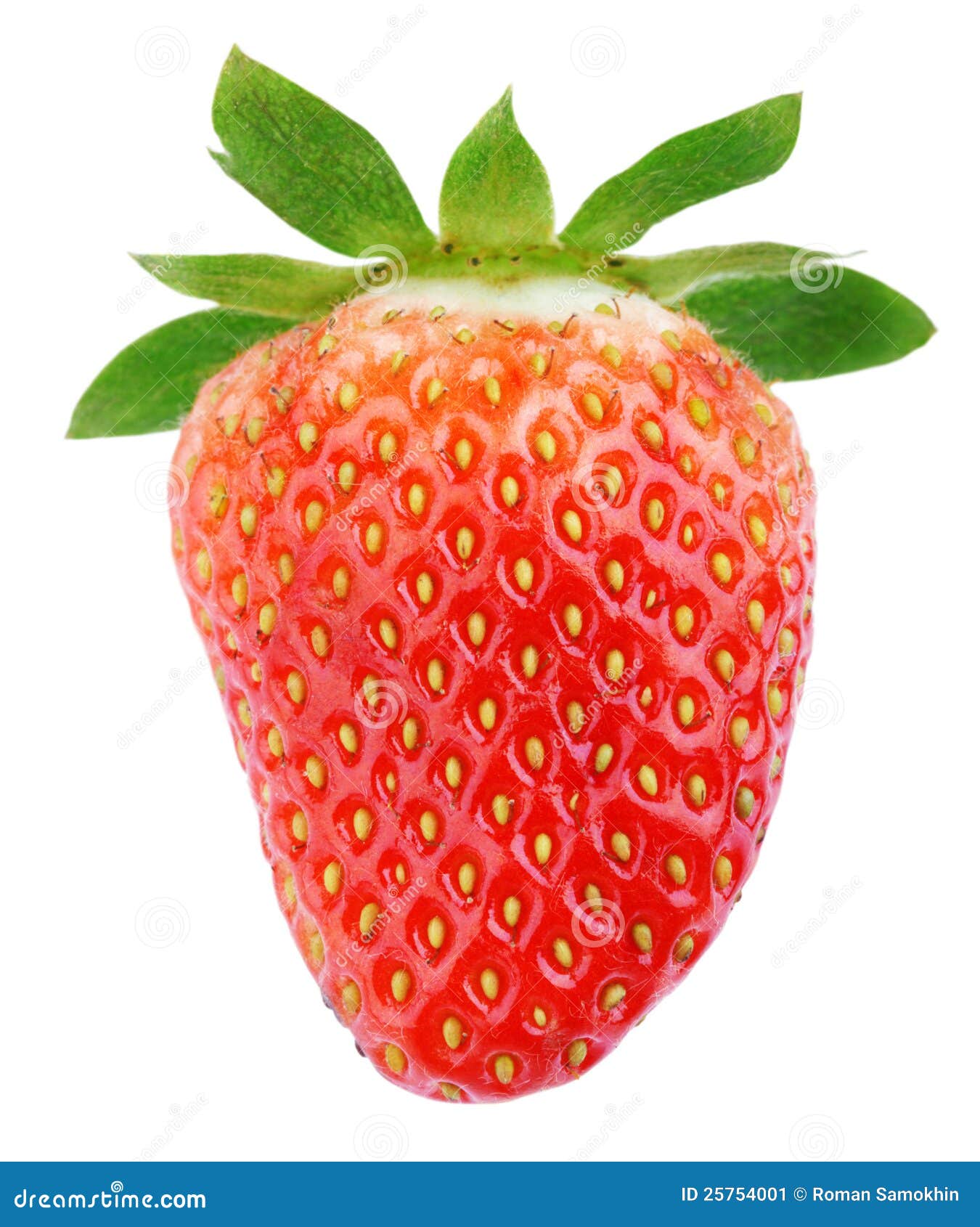 Individual Fruits Pictures