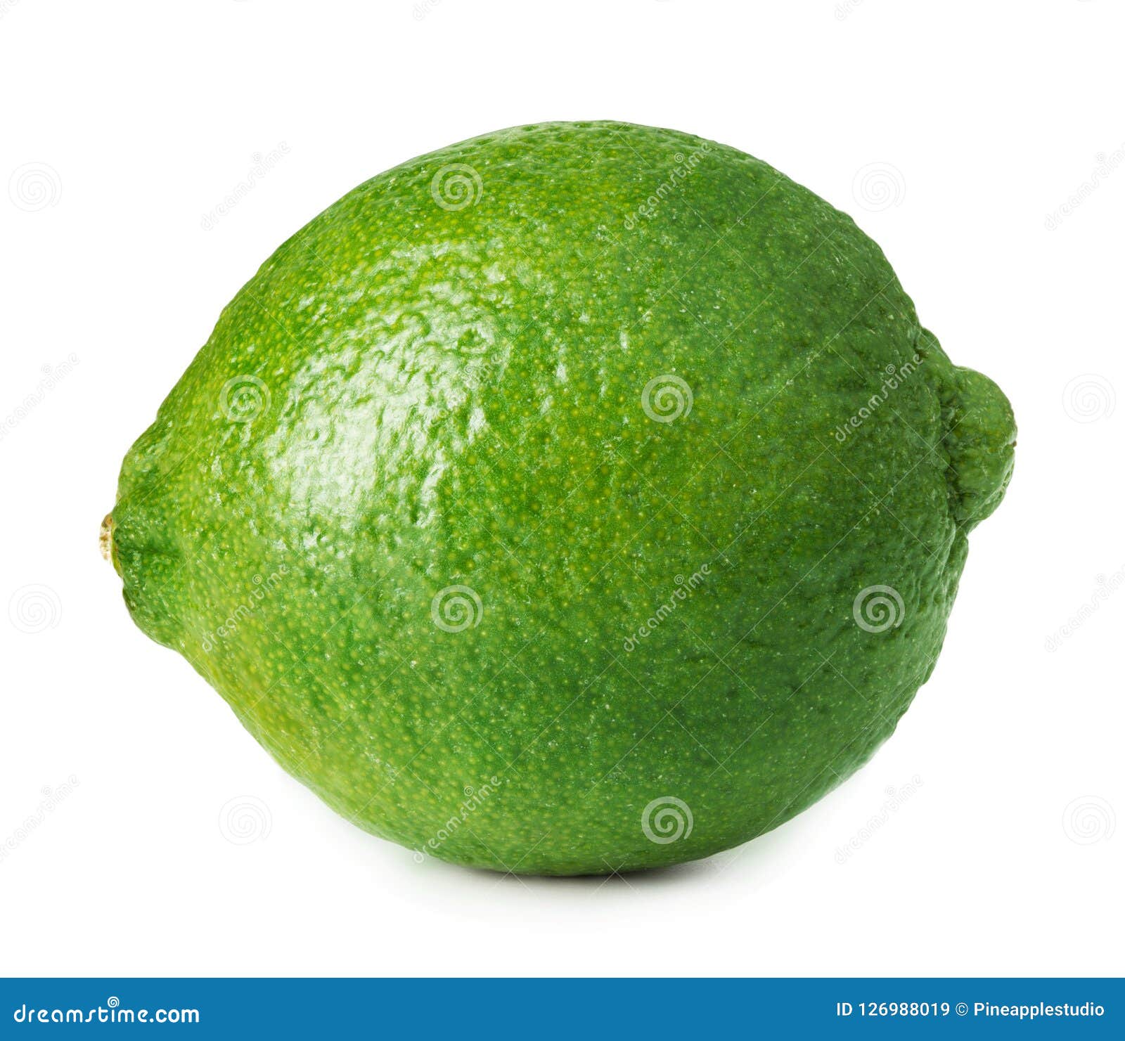 Single lime fruit isolated stock image. Image of freshness - 126988019