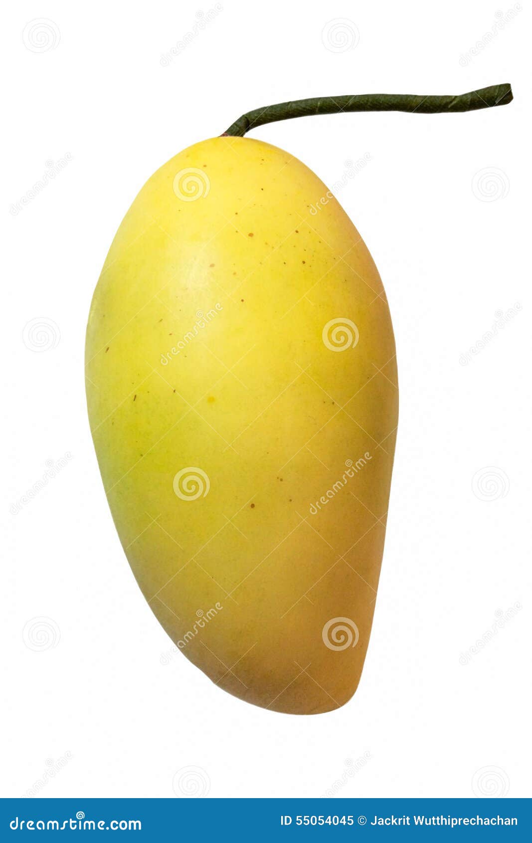 Single Ripe Yellow Mango Isolated on White with Clipping Path Stock ...