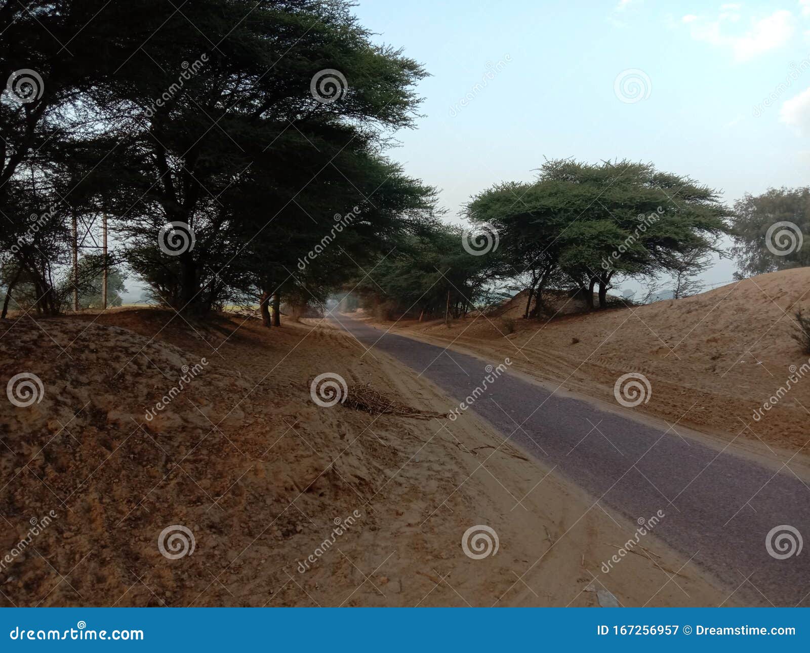 On single road stock image. Image of tree, city, village - 167256957
