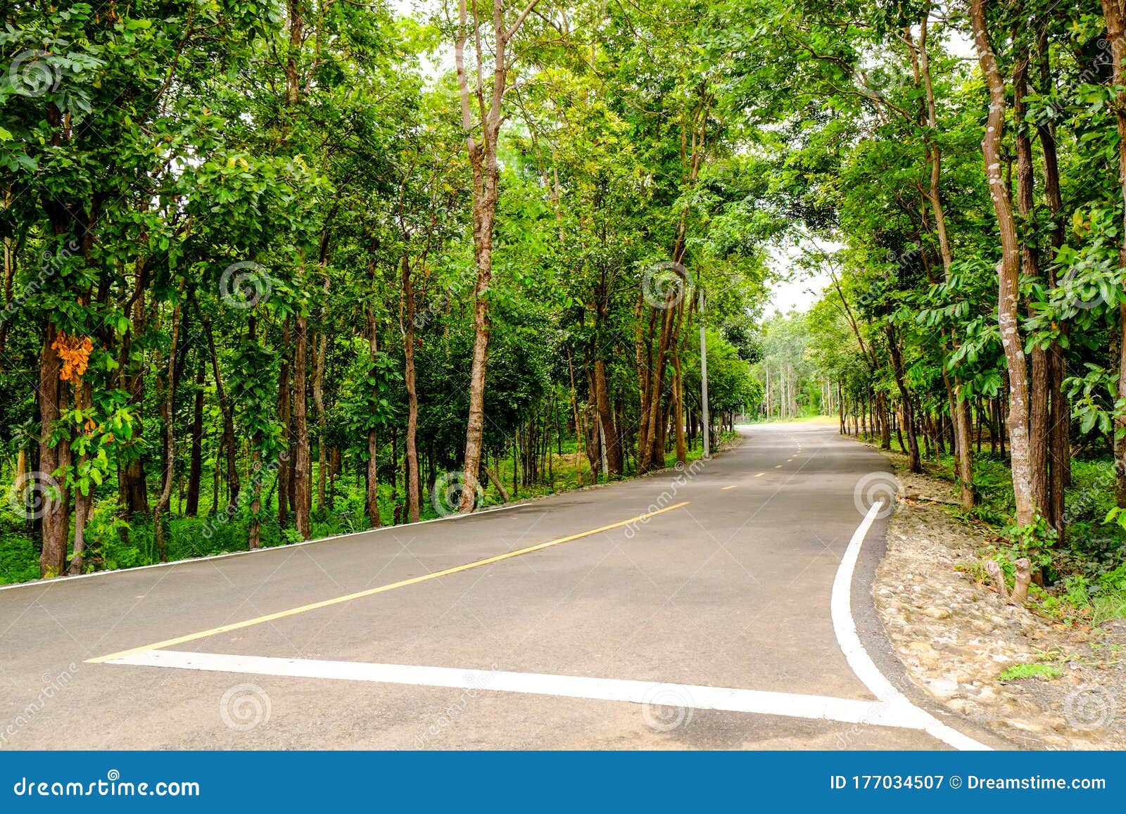 Single Road in Upcountry with Nature beside Stock Image - Image of ...