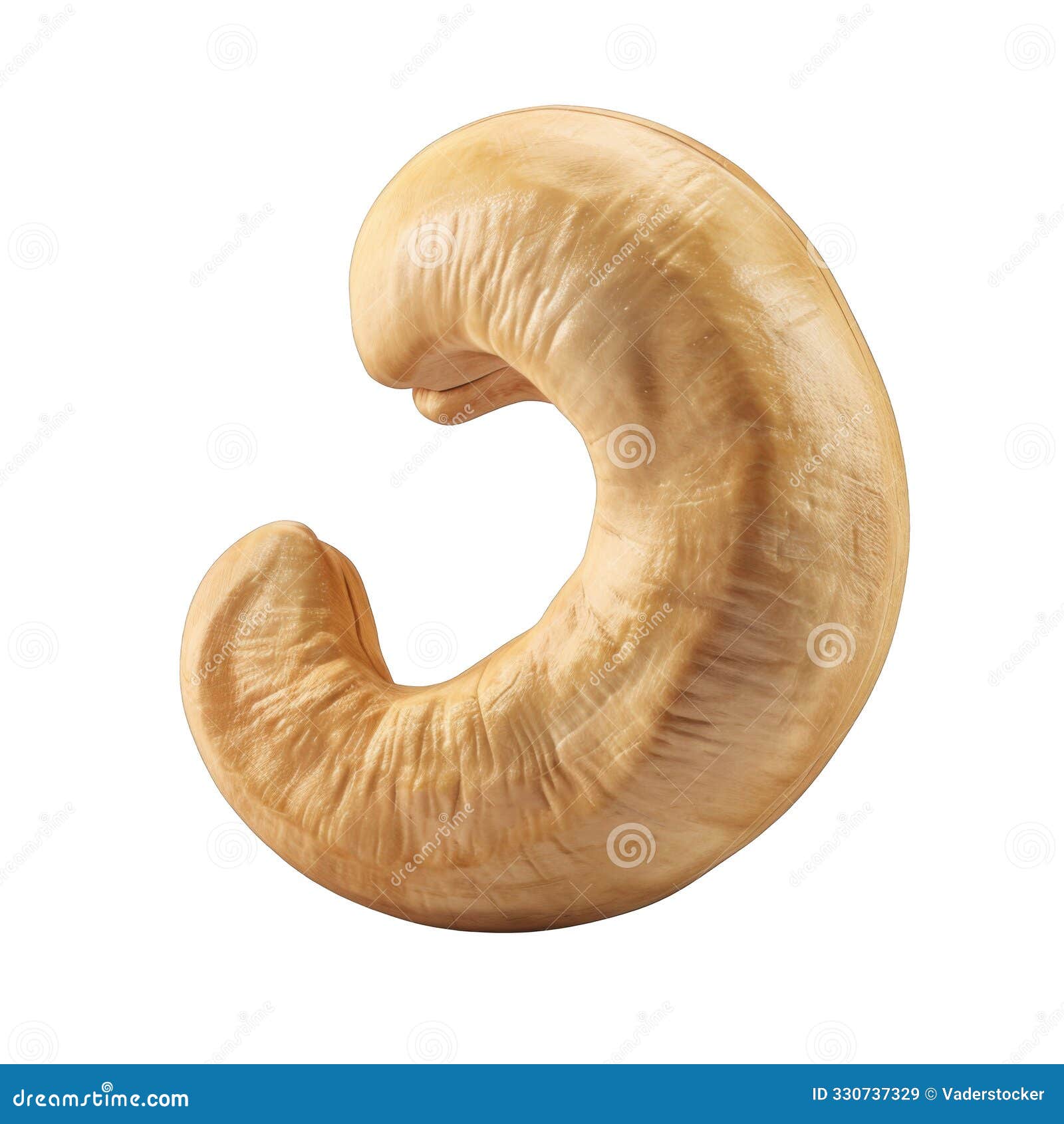 A Single Roasted Cashew Nut Isolated on White Stock Image - Image of ...