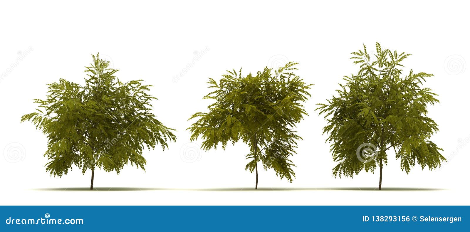 Old Robinia Tree Bark With Green Moss - Nature Texture Photography ...