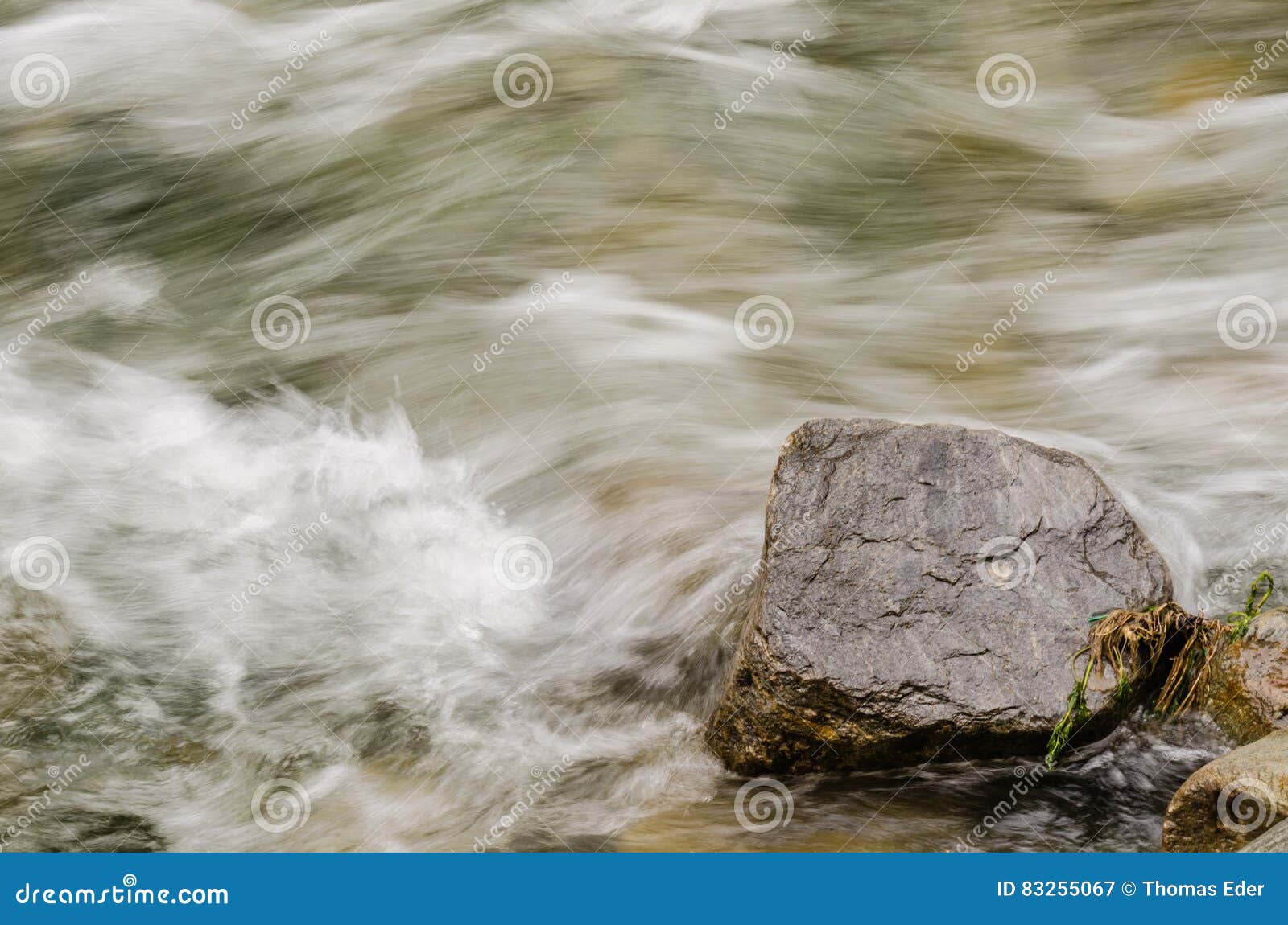 Single rock in the brook stock image. Image of nature - 83255067