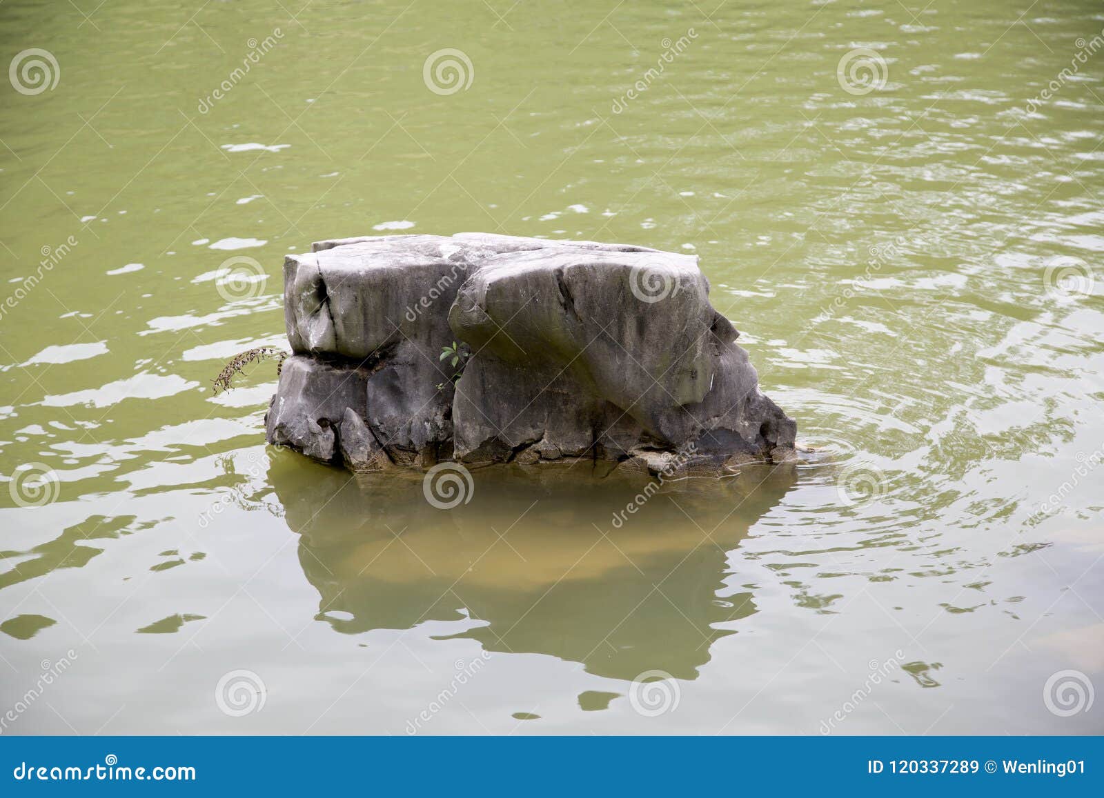 Single Rock Slab And Tree On The Shores Of Loch Lomond, Scotland,UK ...