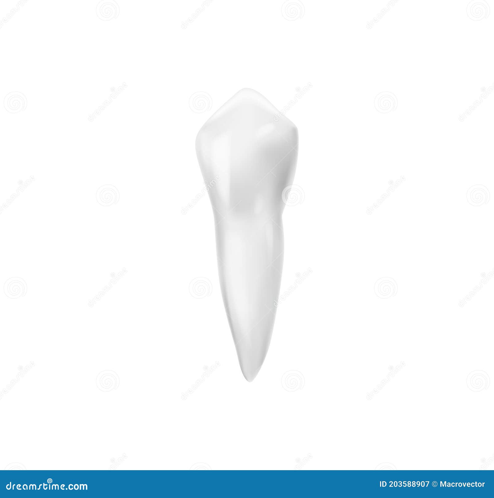 Single Root Tooth Composition Stock Vector - Illustration of mouth ...