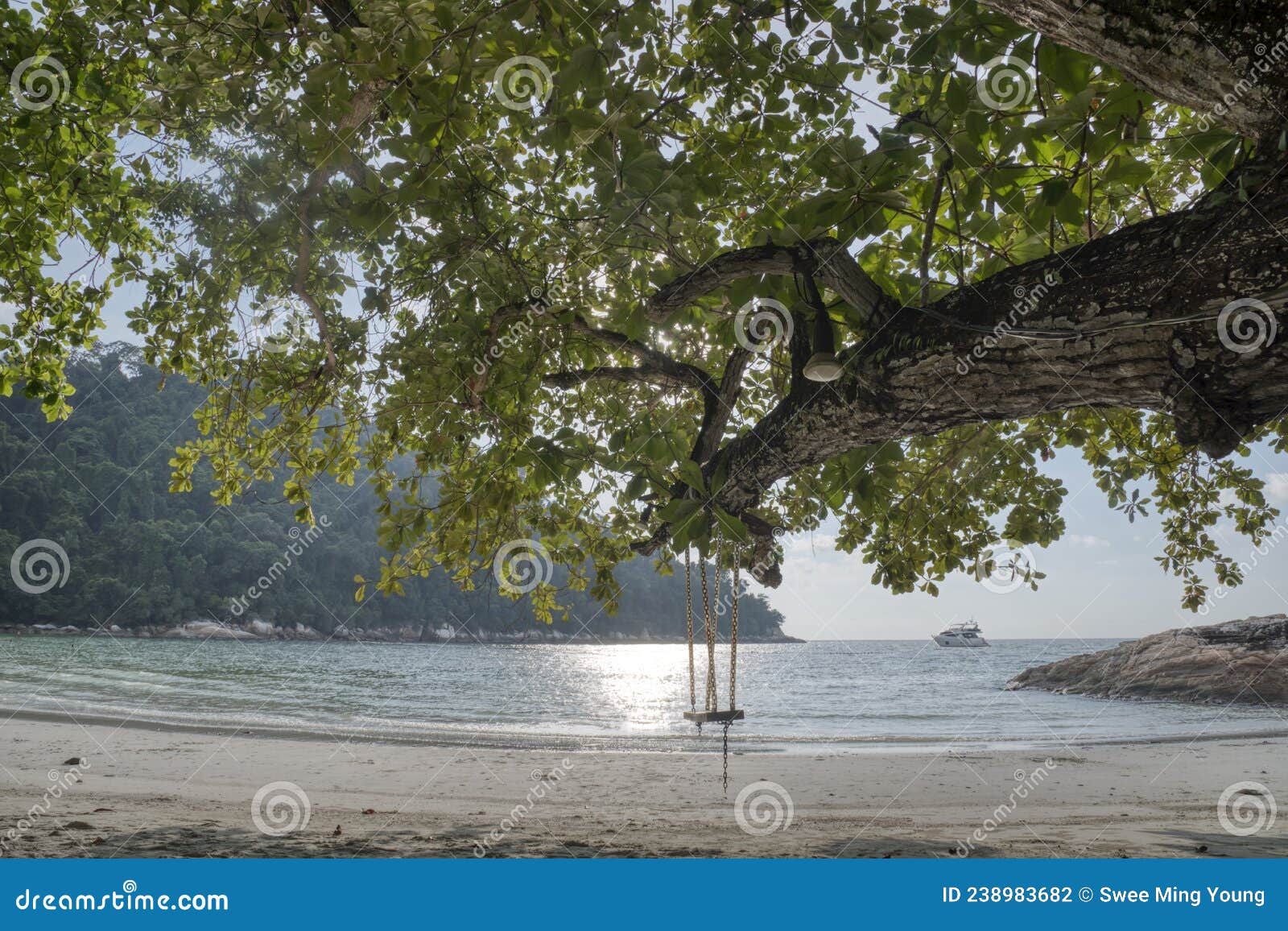 Single Rope Bench Swing by the Beach. Stock Photo - Image of outdoor ...