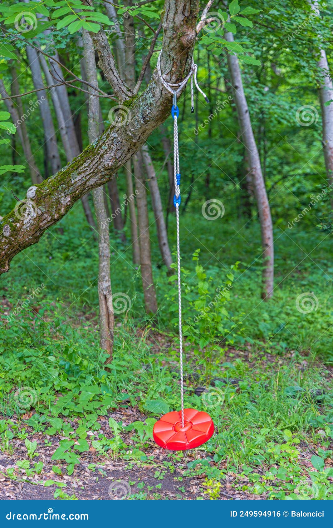 Single Rope Swing stock photo. Image of structure, single - 249594916