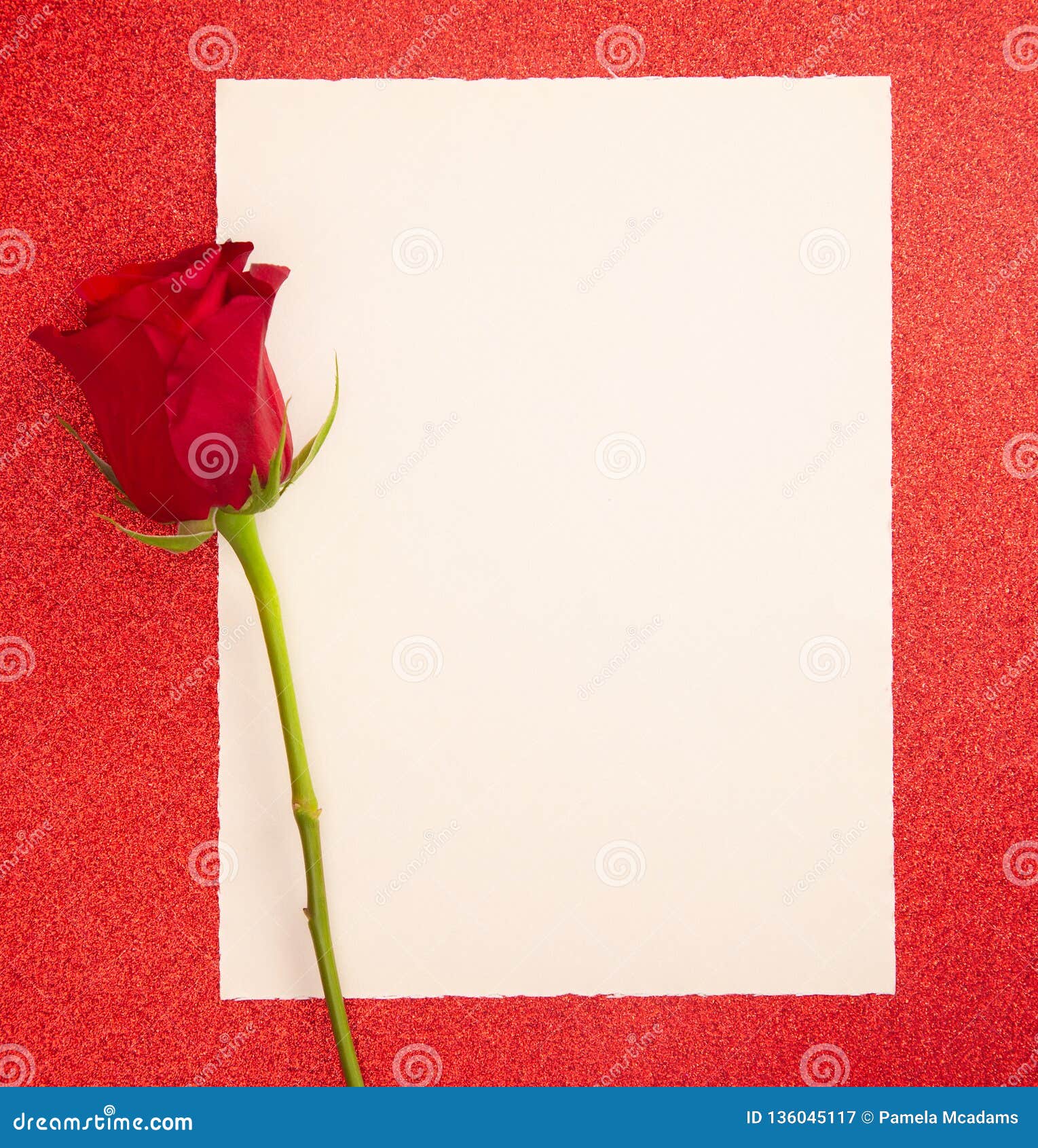 Single Rose with a Blank Page for Writing a Love Note Stock Image ...