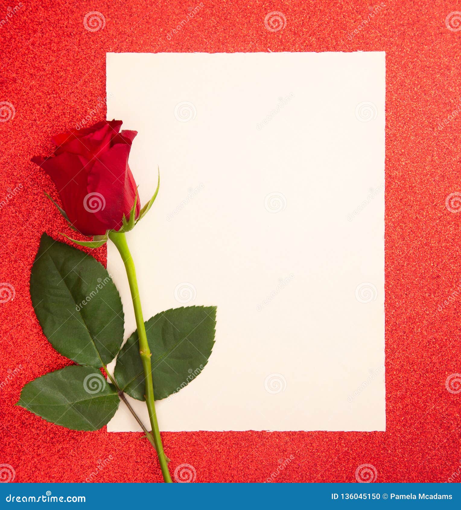 Single Rose with a Blank Page for Writing a Love Note Stock Photo ...