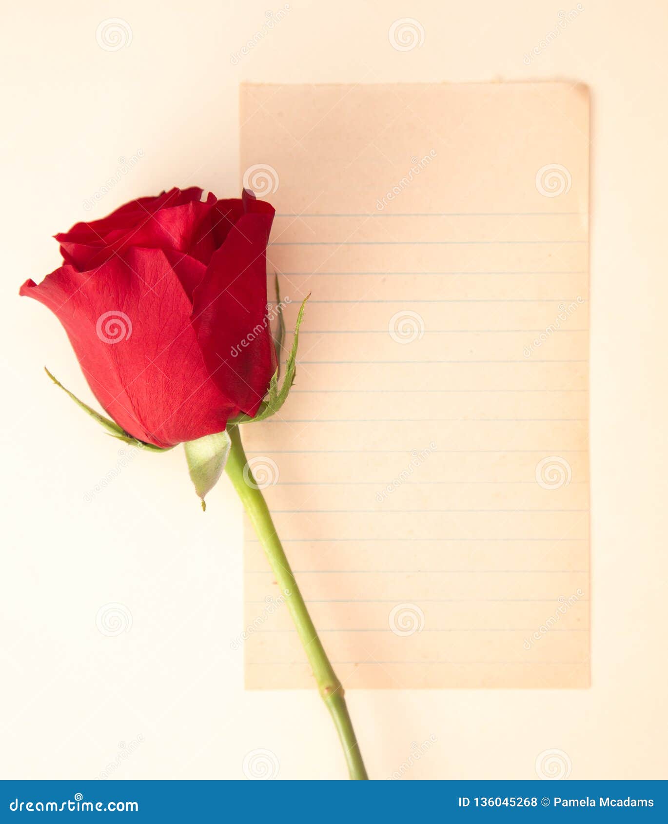 Single Rose with a Blank Page for Writing a Love Note Stock Photo ...
