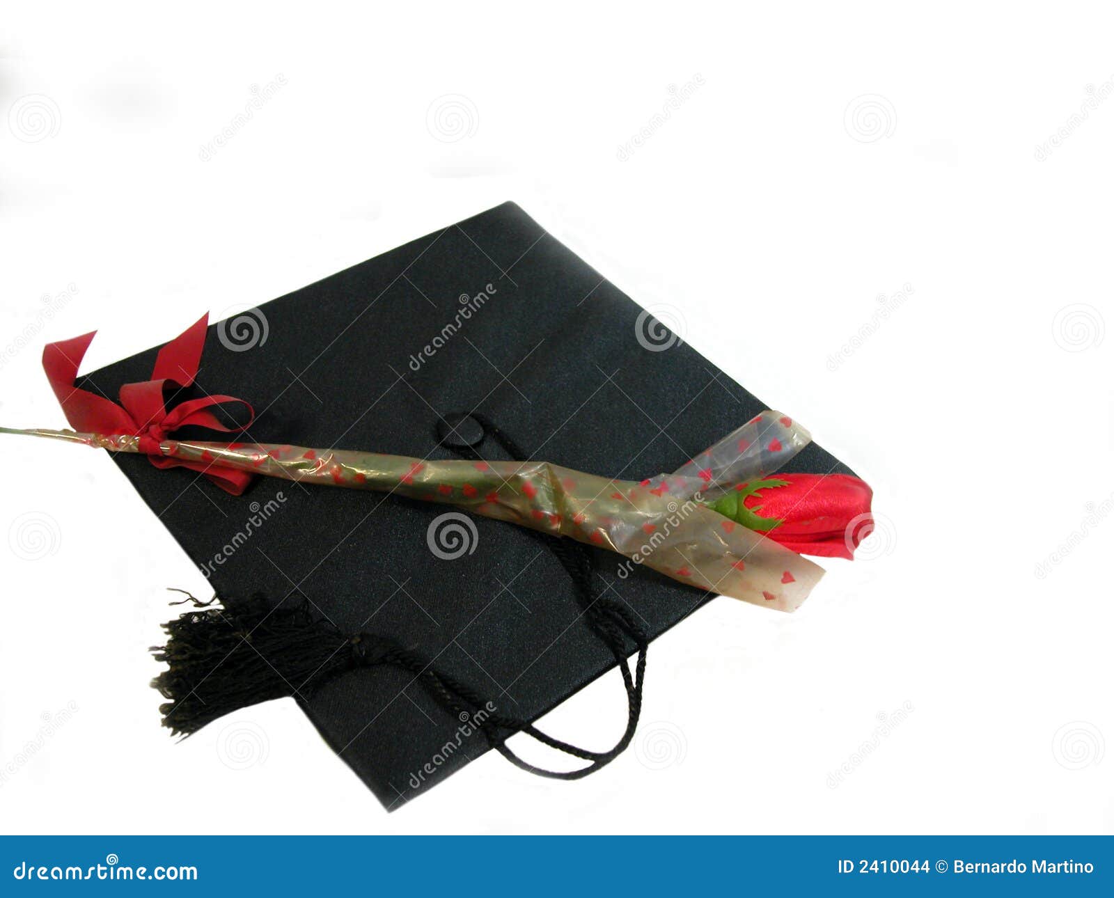 Single Rose graduation stock photo. Image of award, school - 2410044