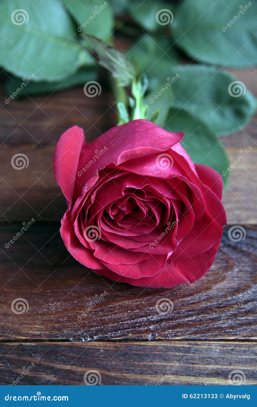 Single Rose on Old Rustic Wood Table Stock Image - Image of material ...