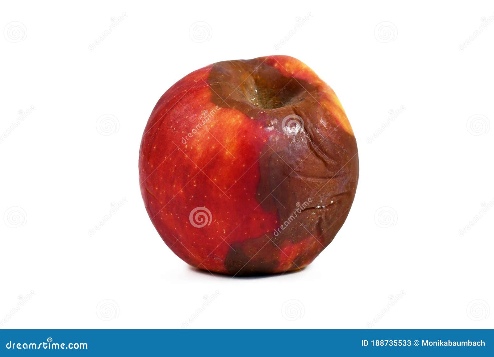 Single Rotten Quince Isolated On White Background Royalty-Free Stock ...