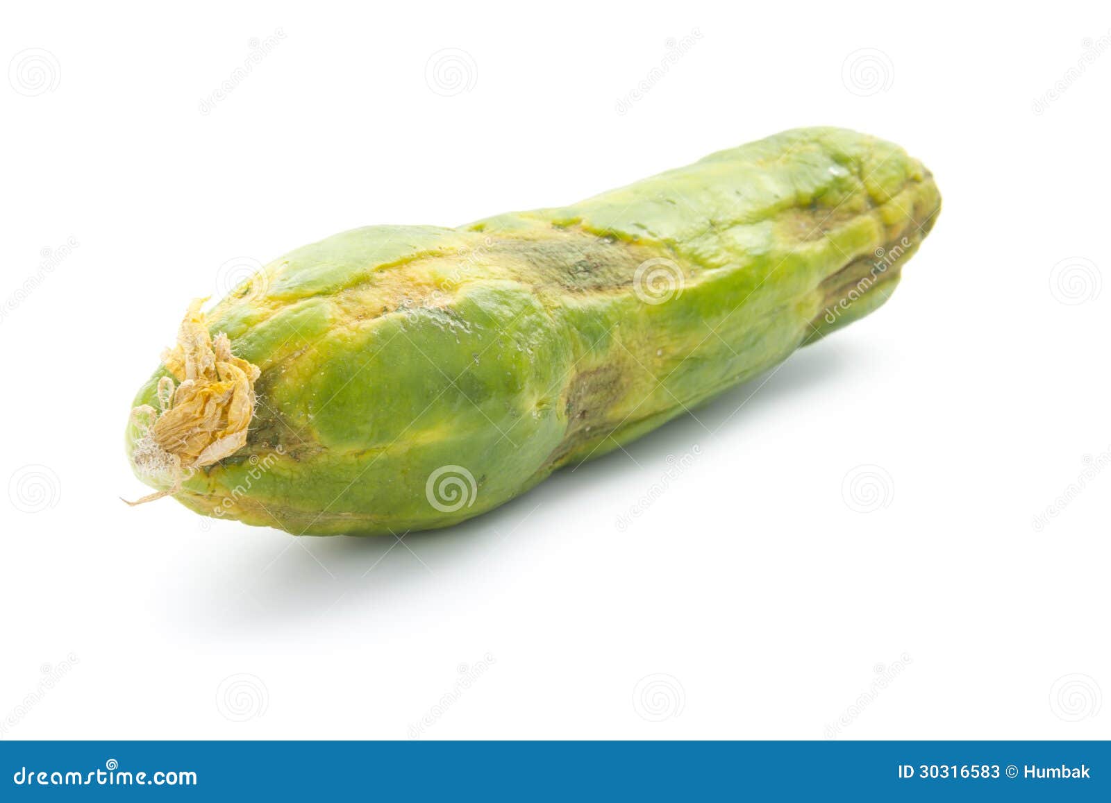 Rotten cucumber stock image. Image of decompose, decline - 30316583