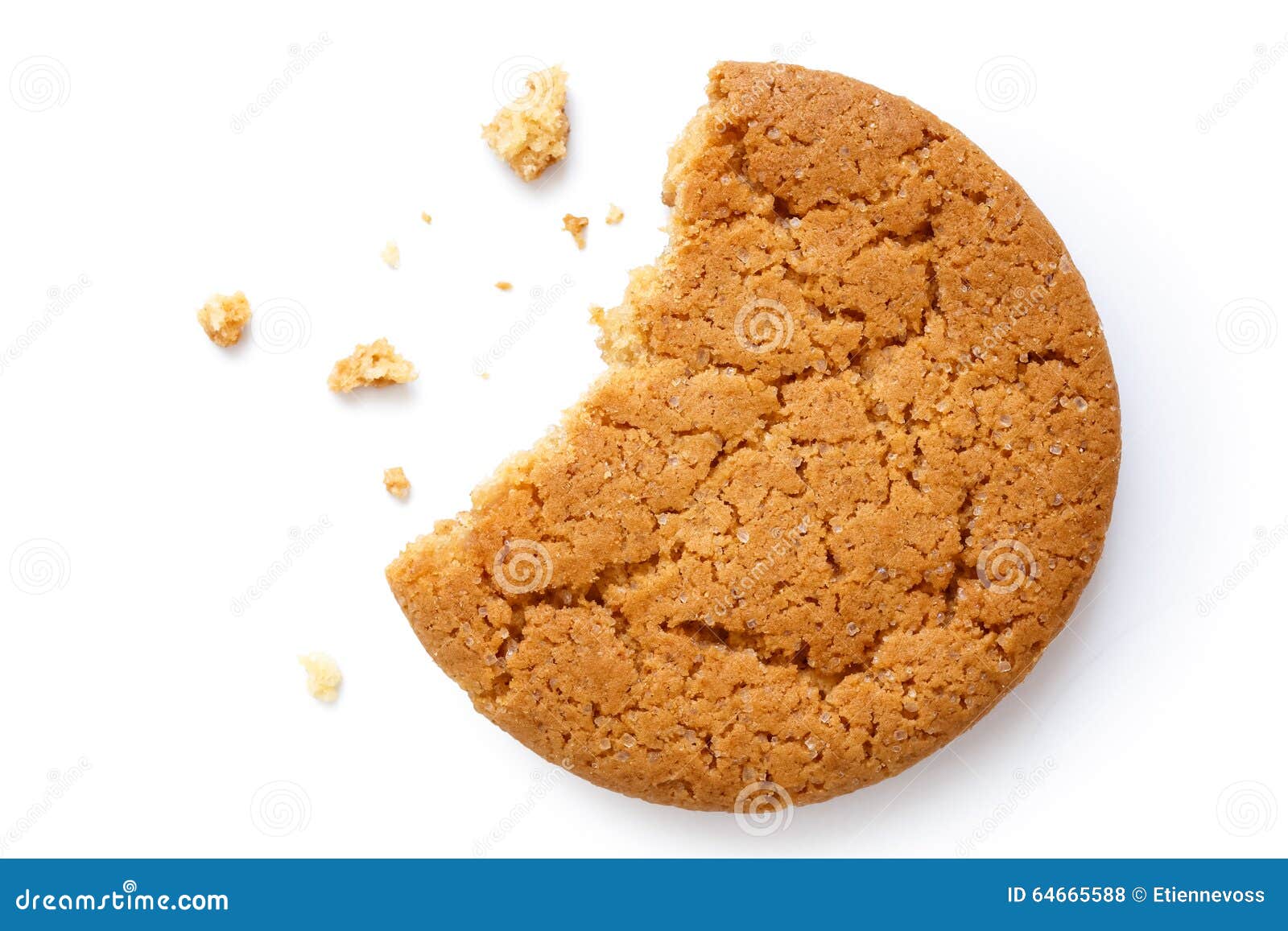 Single Round Ginger Biscuit. Stock Photo - Image of white, single: 64665588