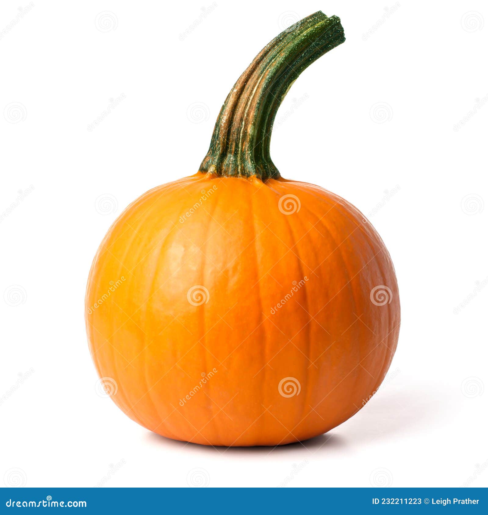 Single Round Orange Pumpkin for Halloween Isolated on White Stock Image ...