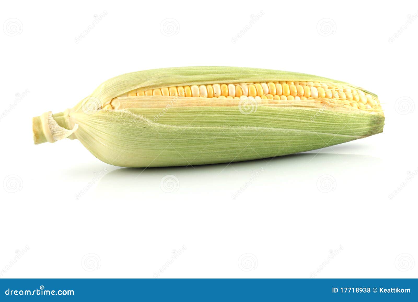 Single Row Corn stock photo. Image of freshness, agriculture - 17718938